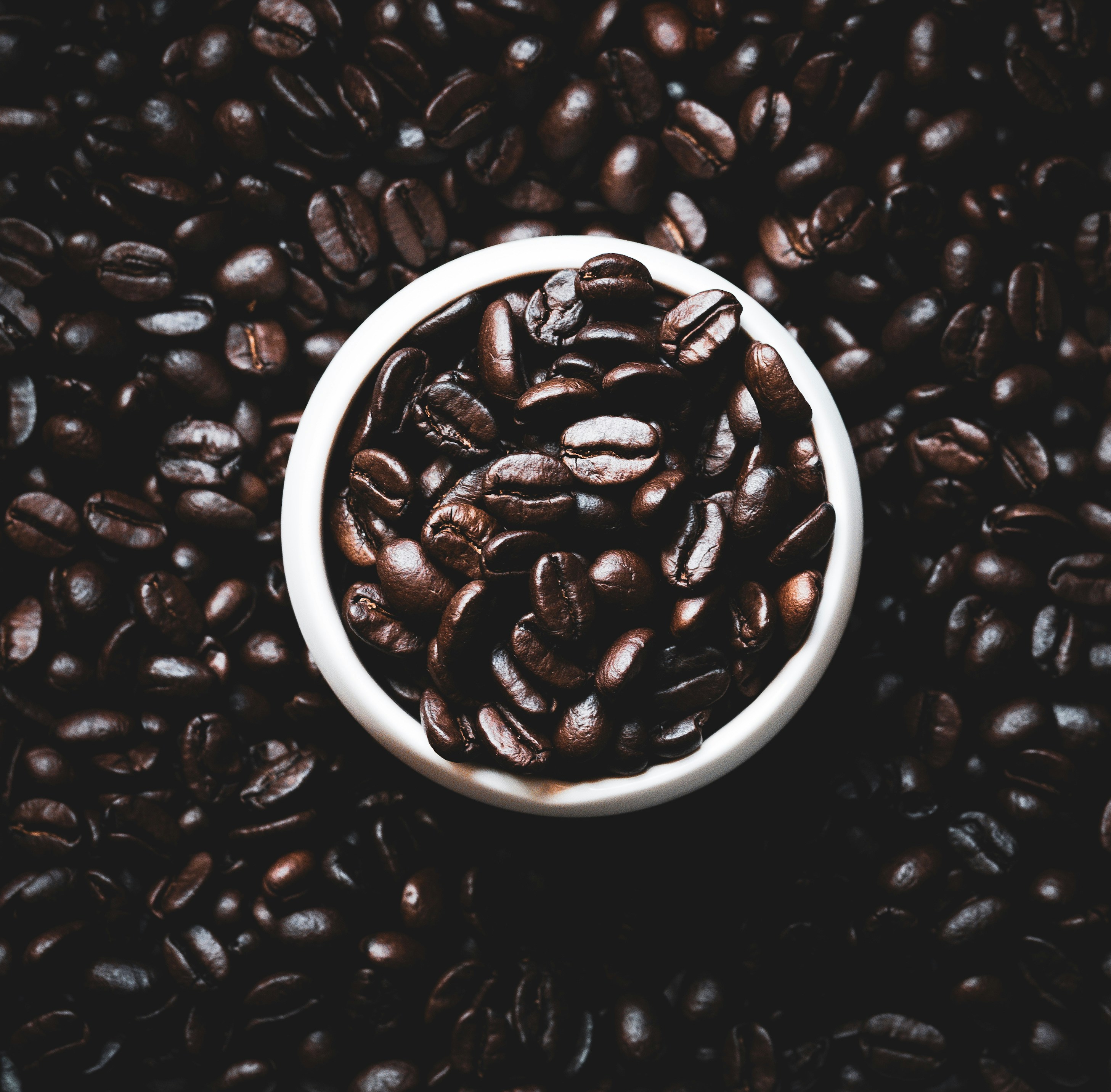 Circle of Night: A White Cup Resting among Rich Coffee Beans