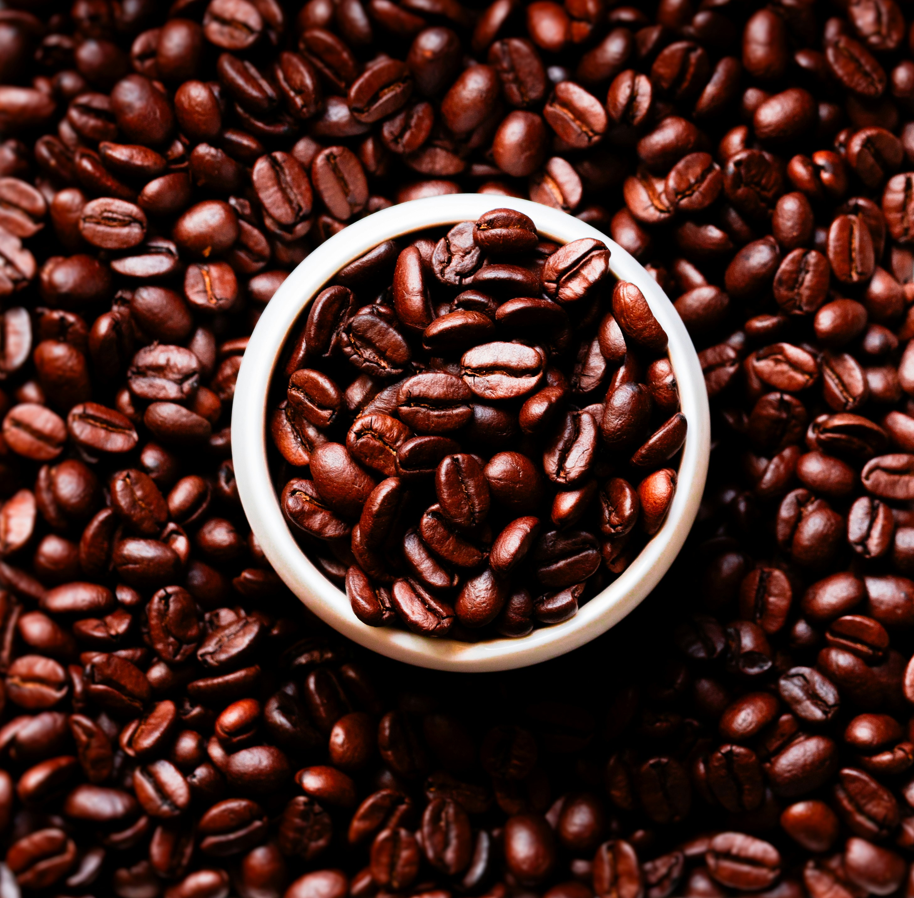 Circle of Richness: A Sacred Ring of Coffee Beans
