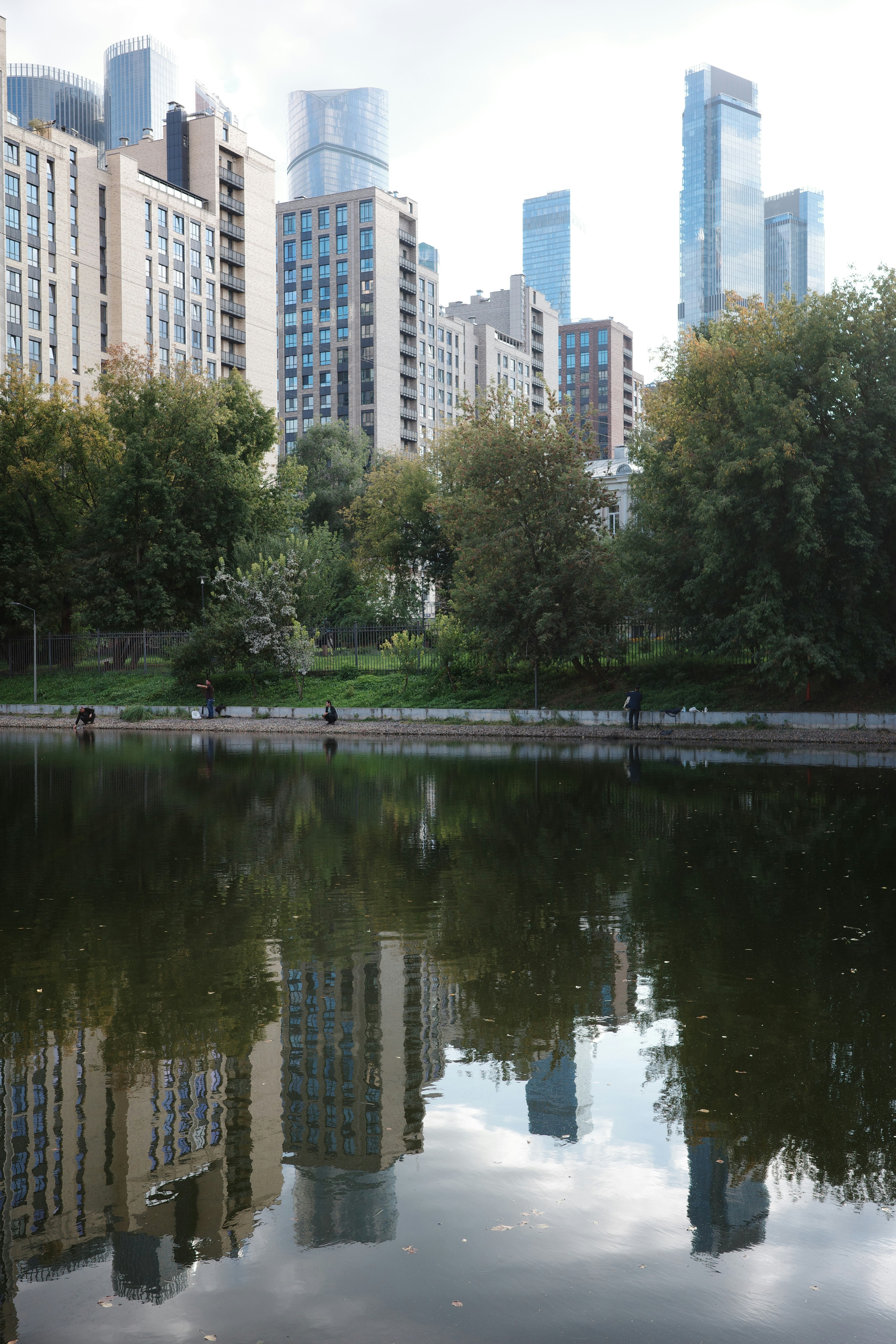 Urban Reflections: Riverside Towers Meeting the Park