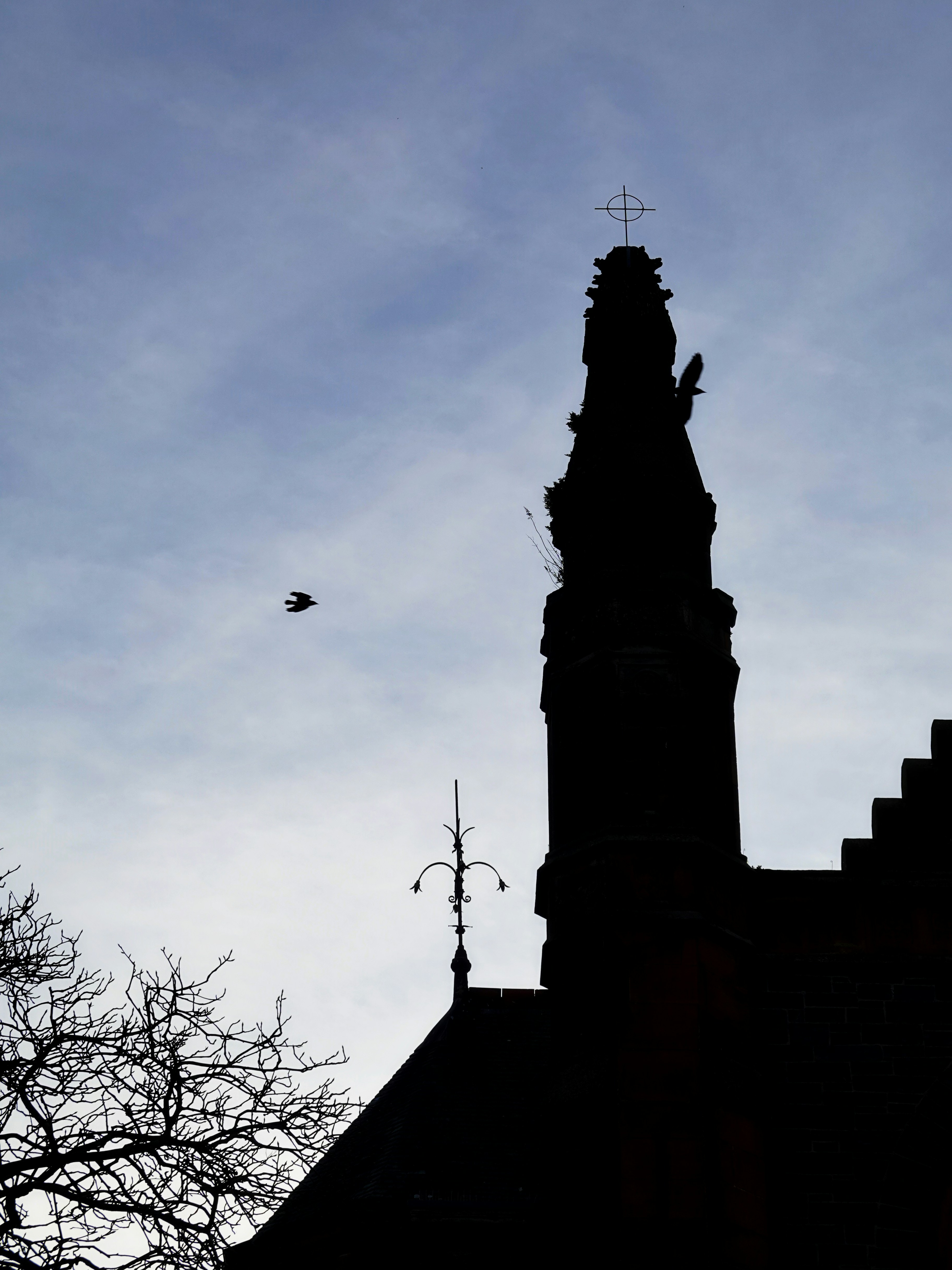 Silhouette of a Spire Against a Pale Sky with a Dancing Bird