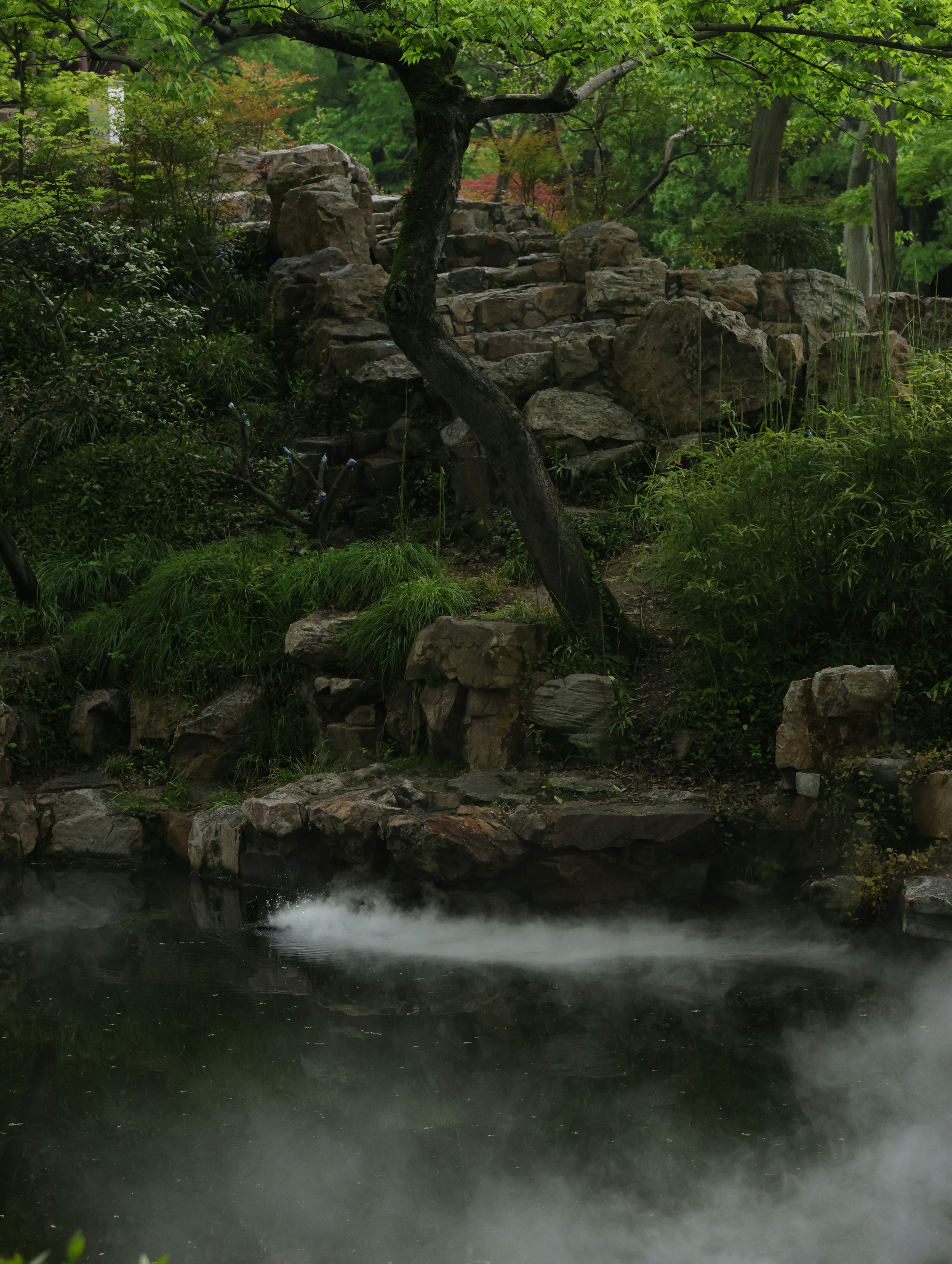 Mist over the Shaded Rocks by the Quiet Pond