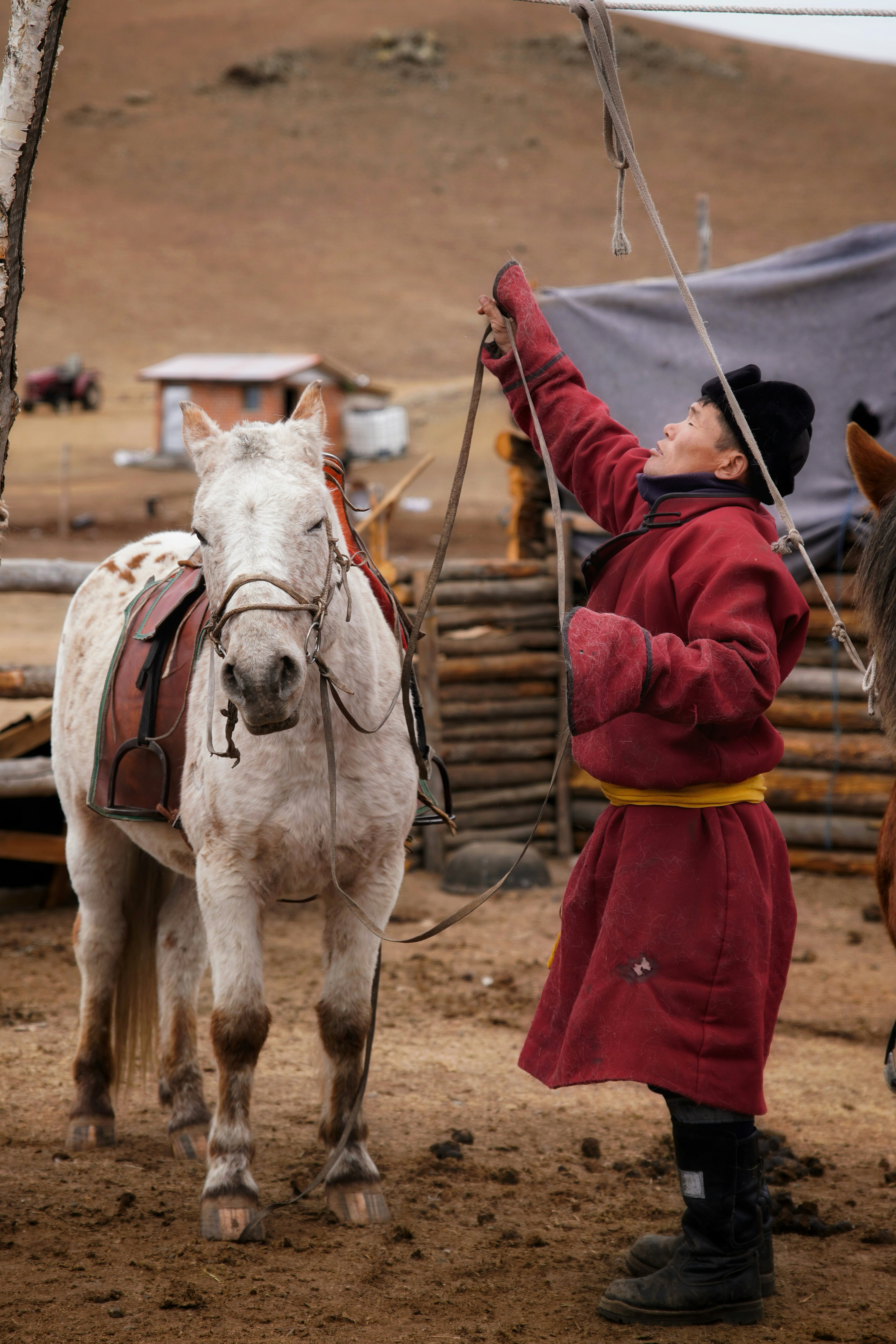 Herder and White Horse in a Rural Camp