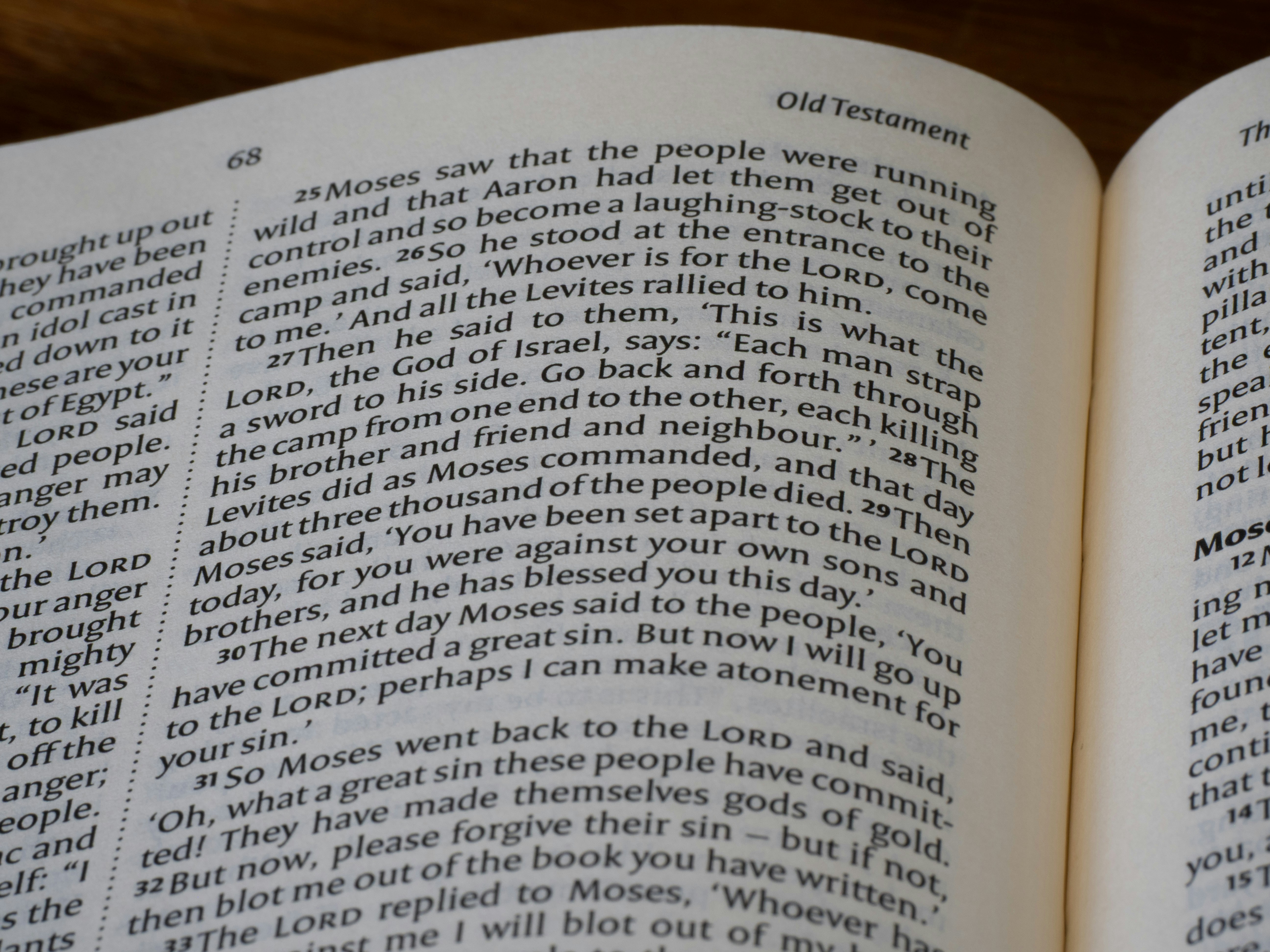 Words in Focus: A Page Turning Moment
