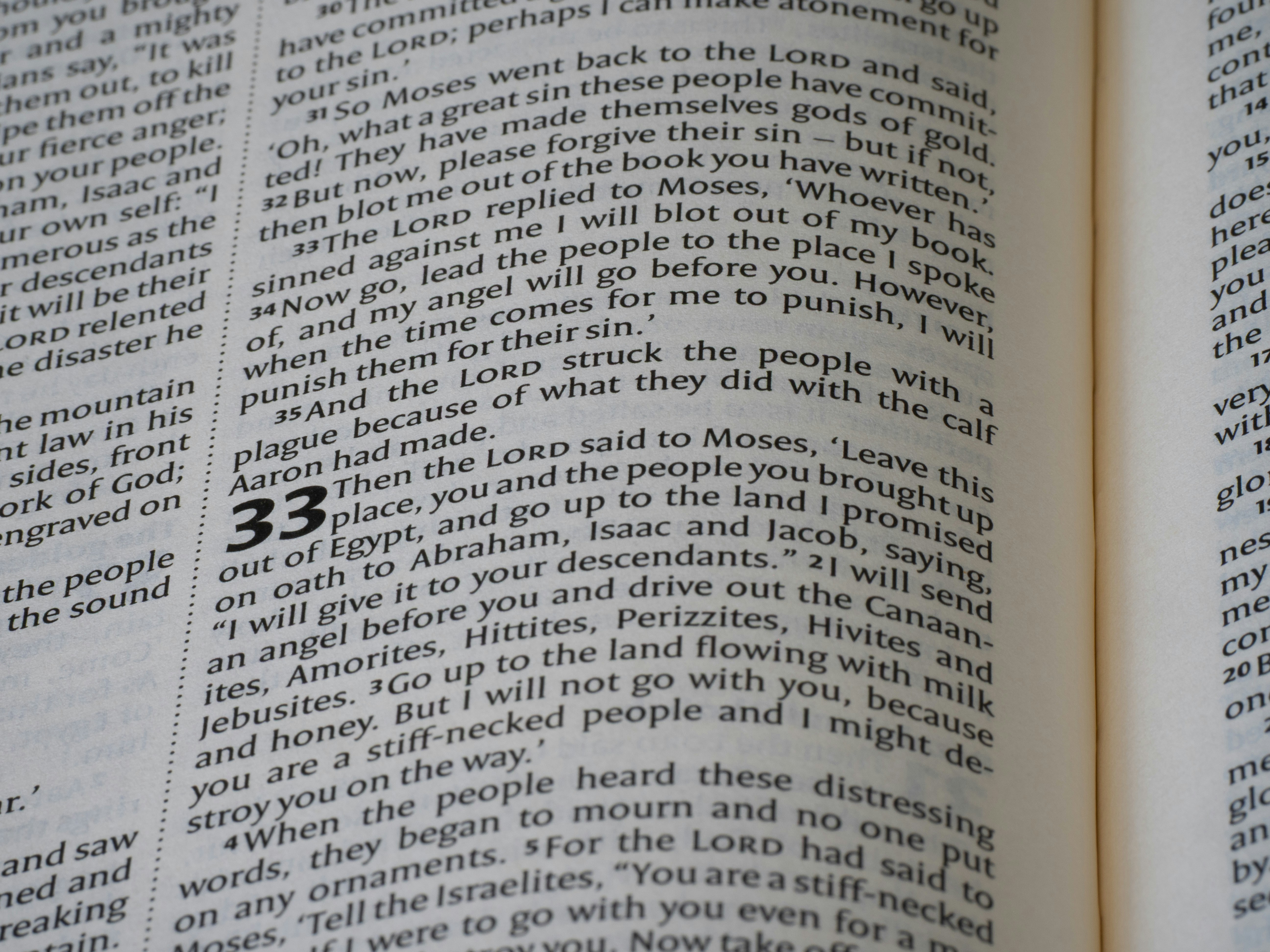 Inked Verses: A Page Turn in Verse and Light