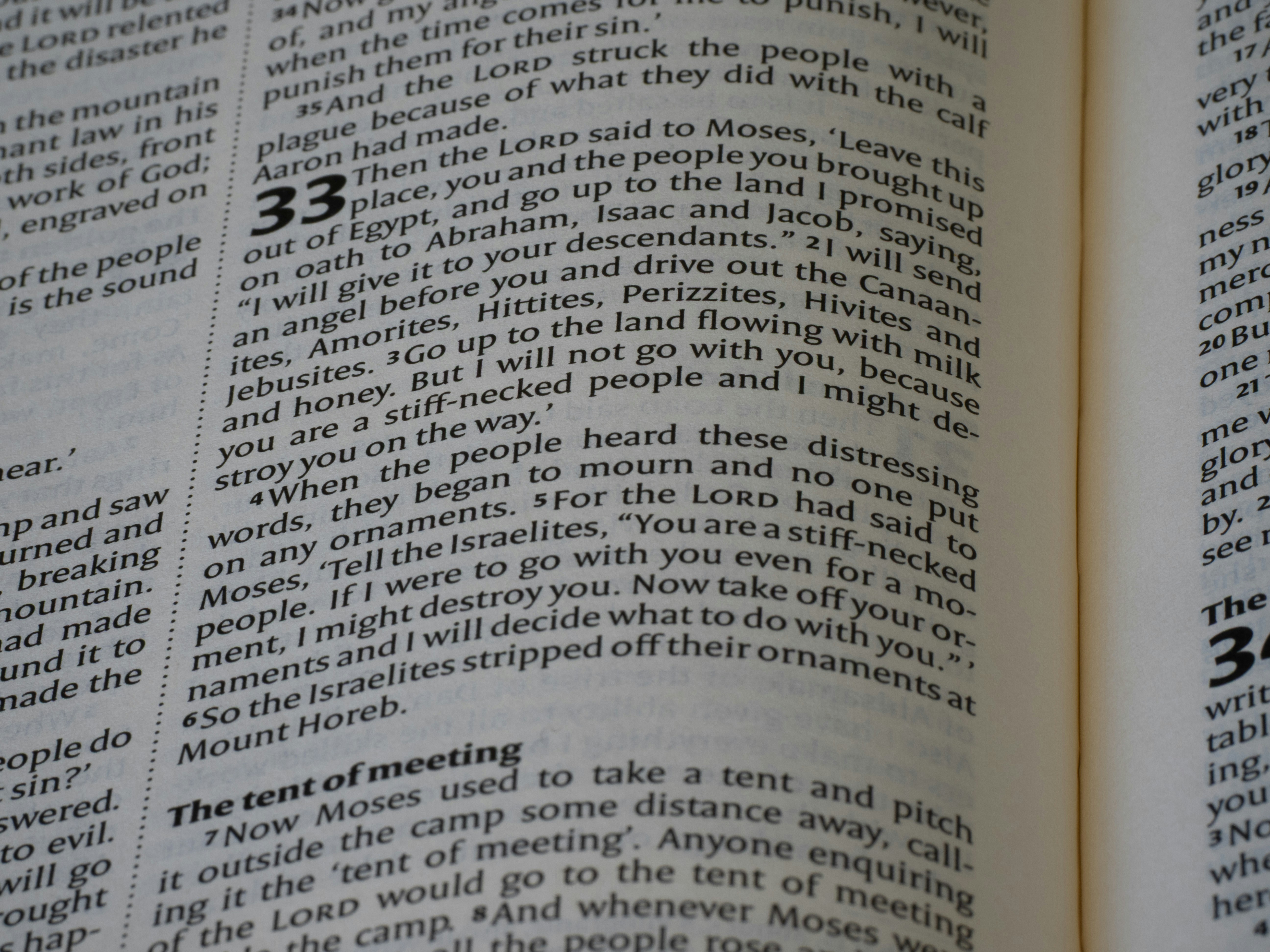 Scripture in Focus: A Close Read of Biblical Texts