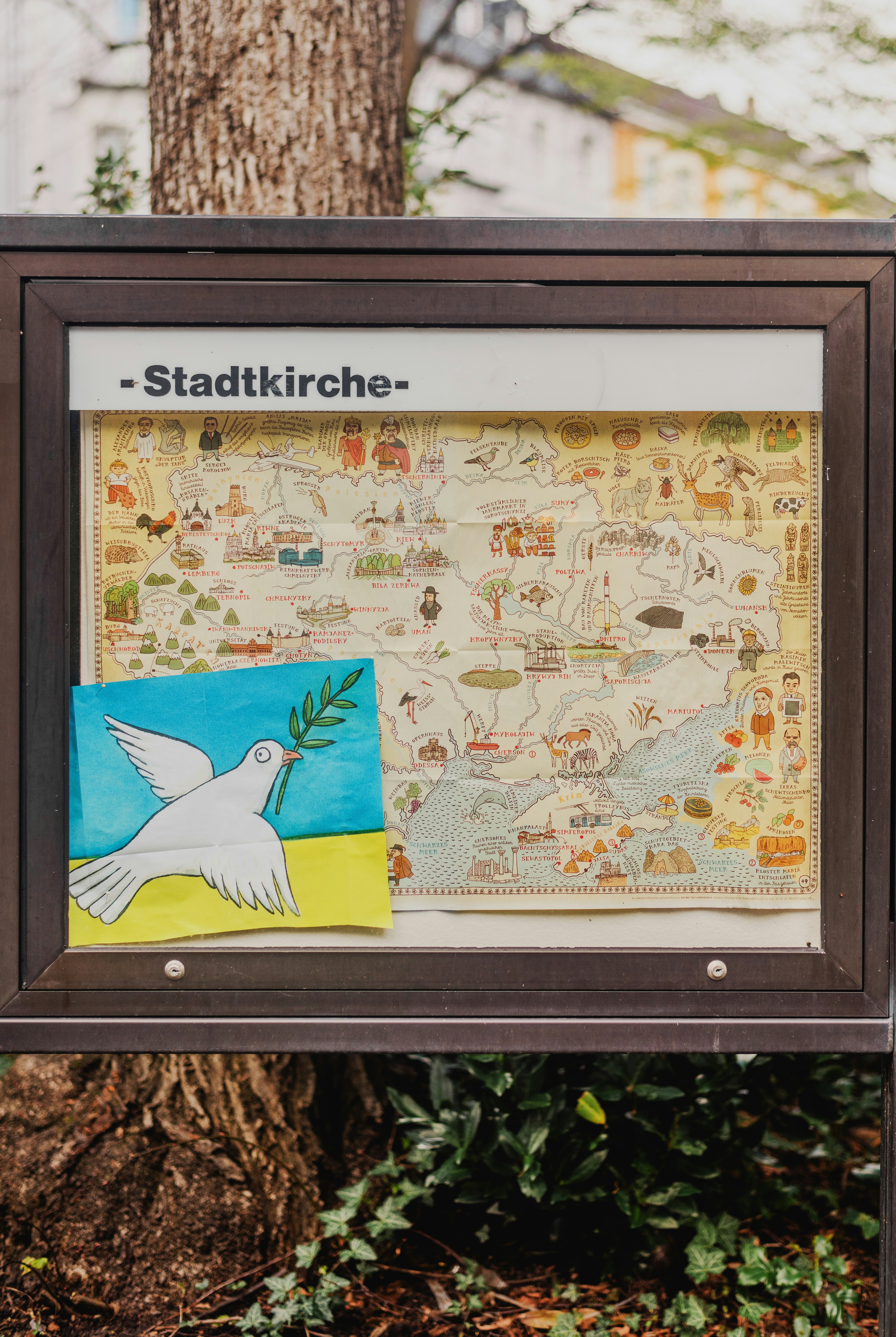 A Quiet Map in the Frame of a Tree and Art