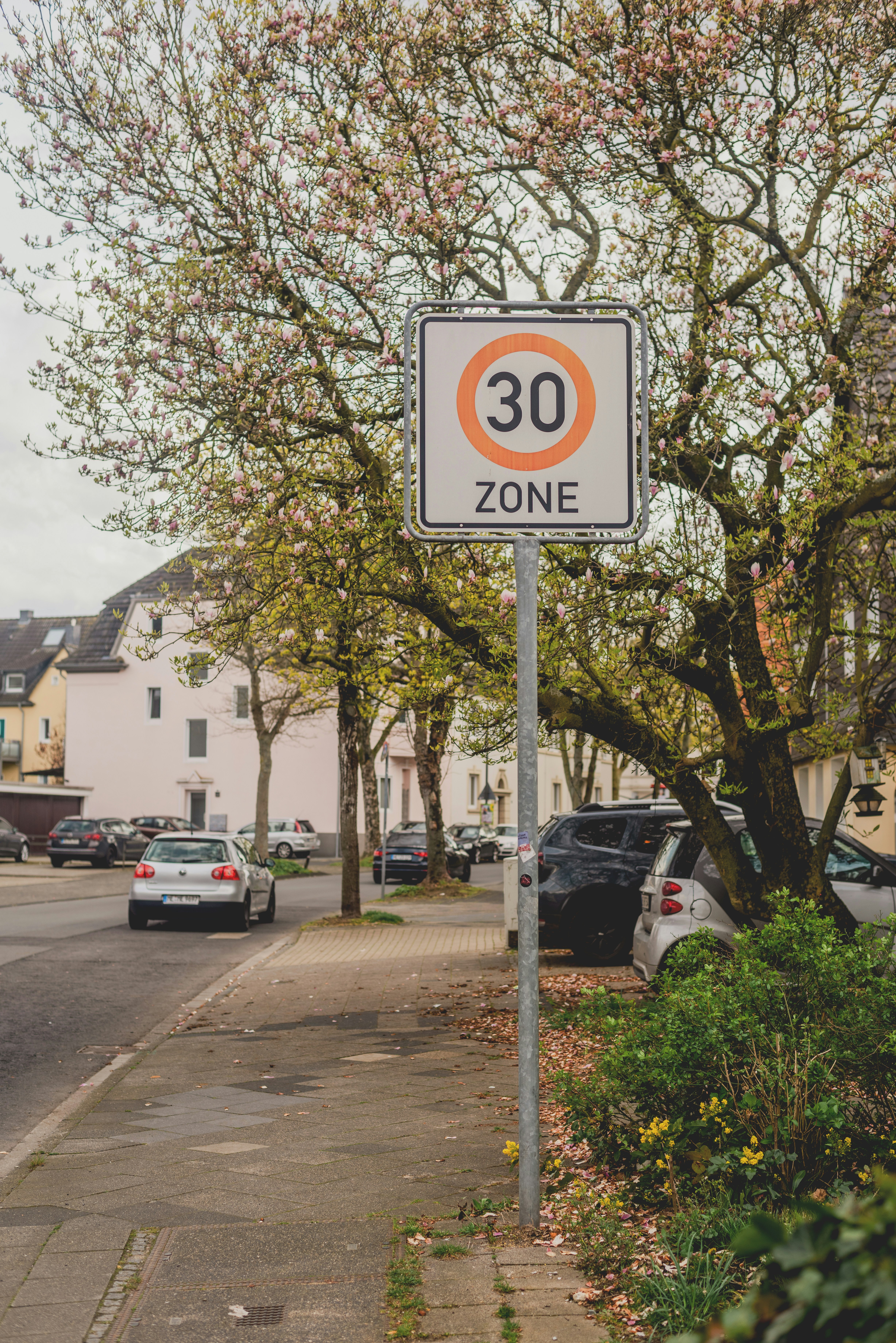 Urban Quiet: The 30 Zone Sign Framed by a Spring Street