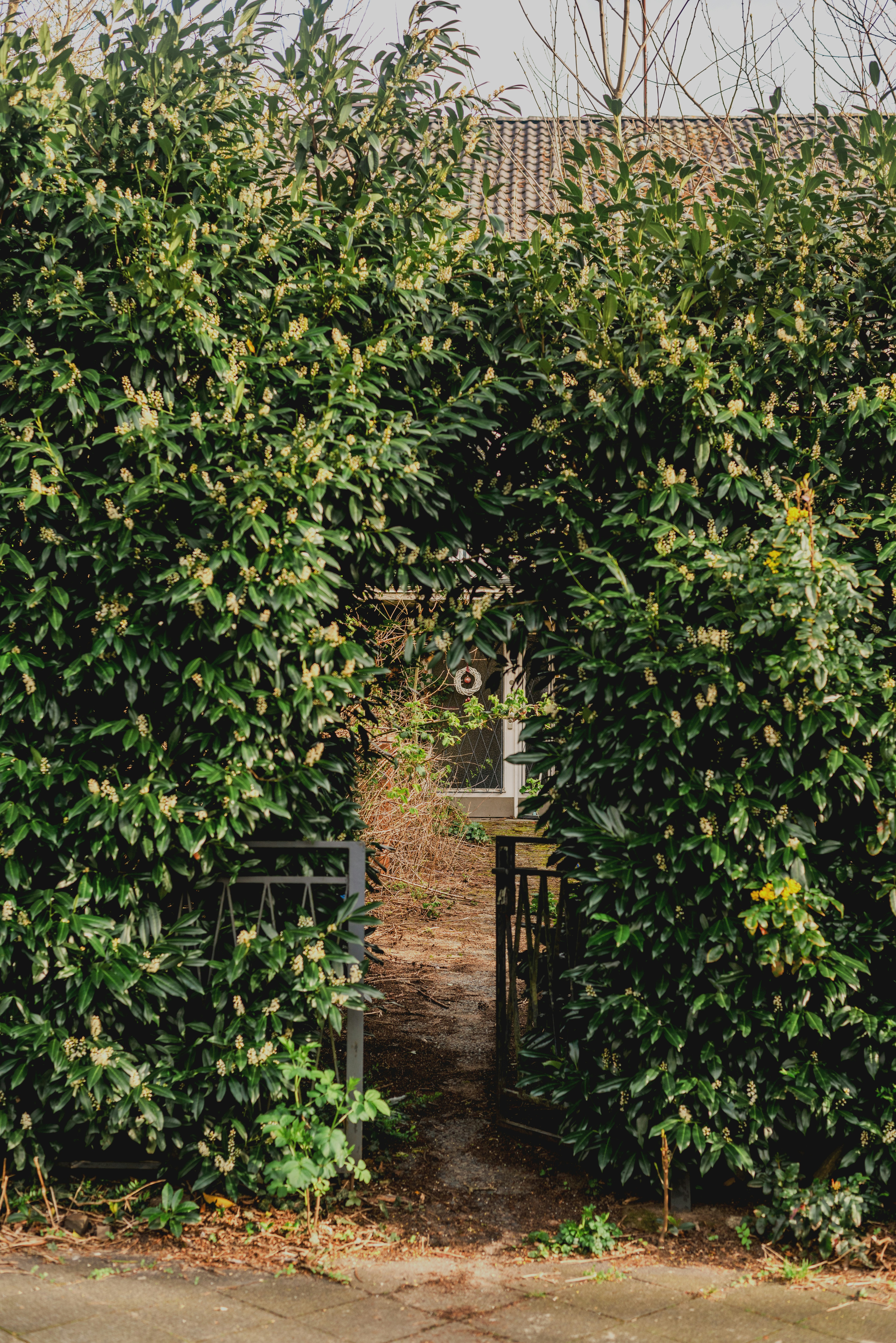 Green Arch to the Quiet House