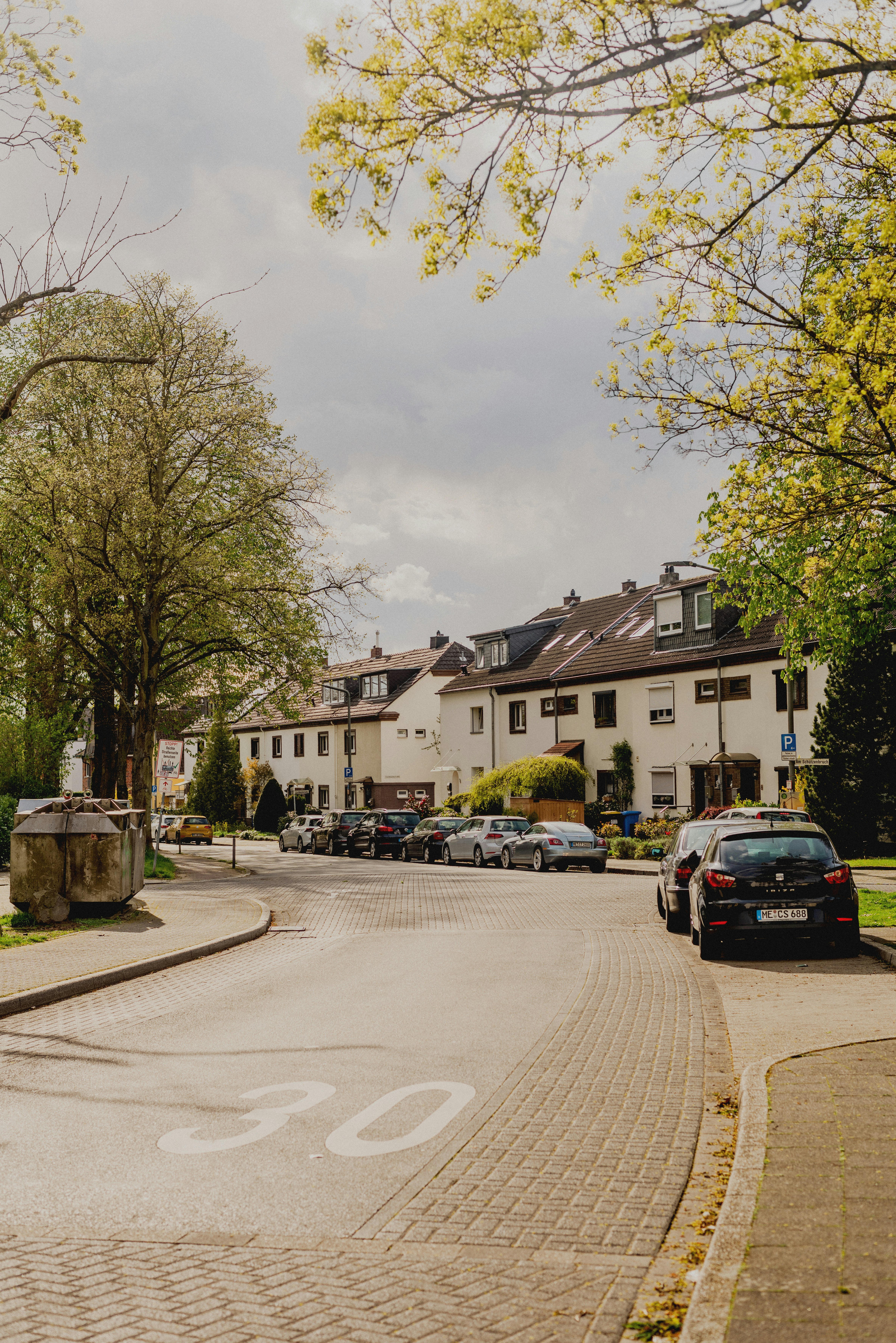 Curved Street Through a Quiet Suburban Street with Yellowed Trees