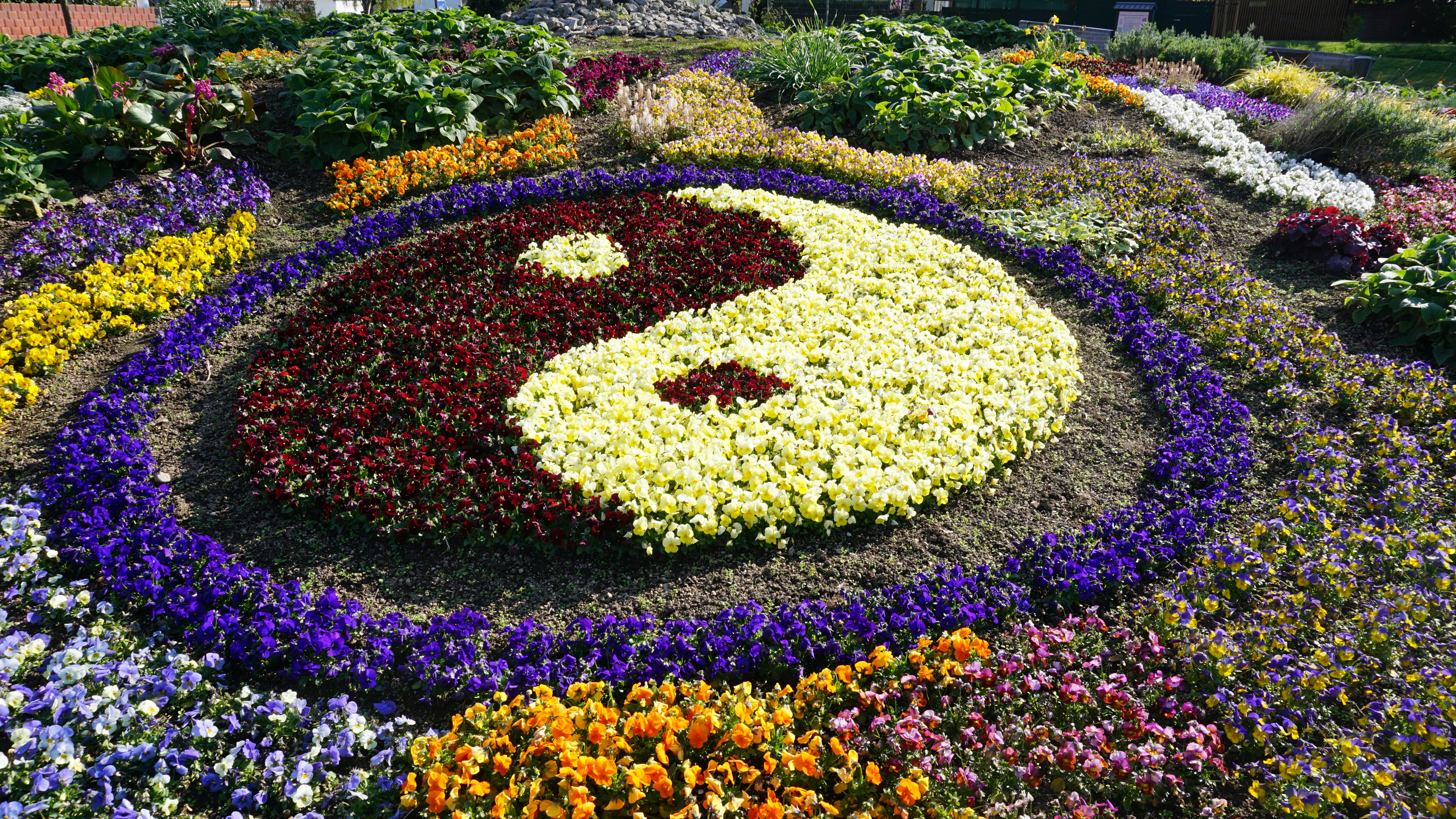 Yin and Yang Bloom: A Circular Quilt of Flower Balance