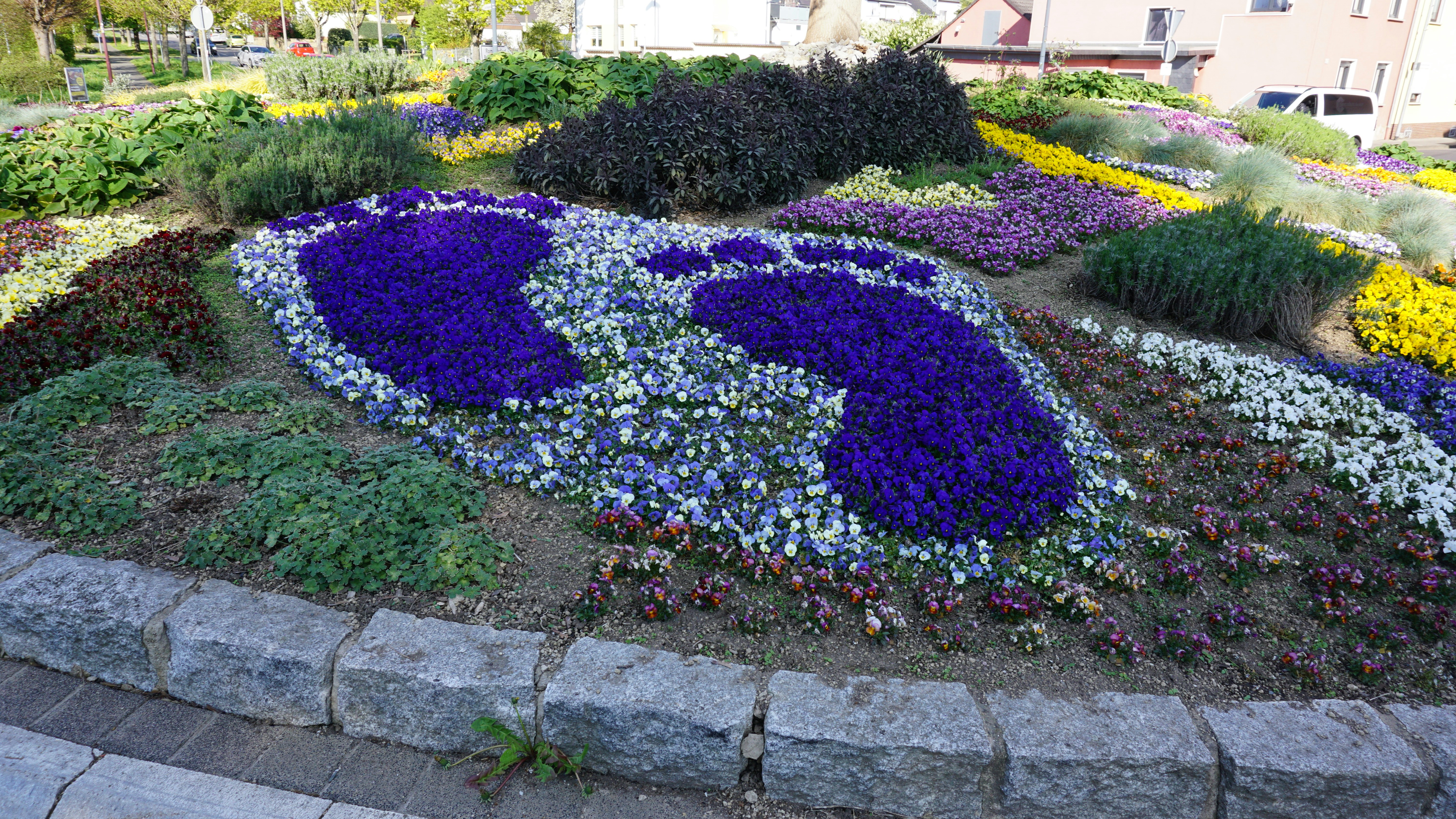 Colorful Yin-Yang Flower Bed in a Public Garden