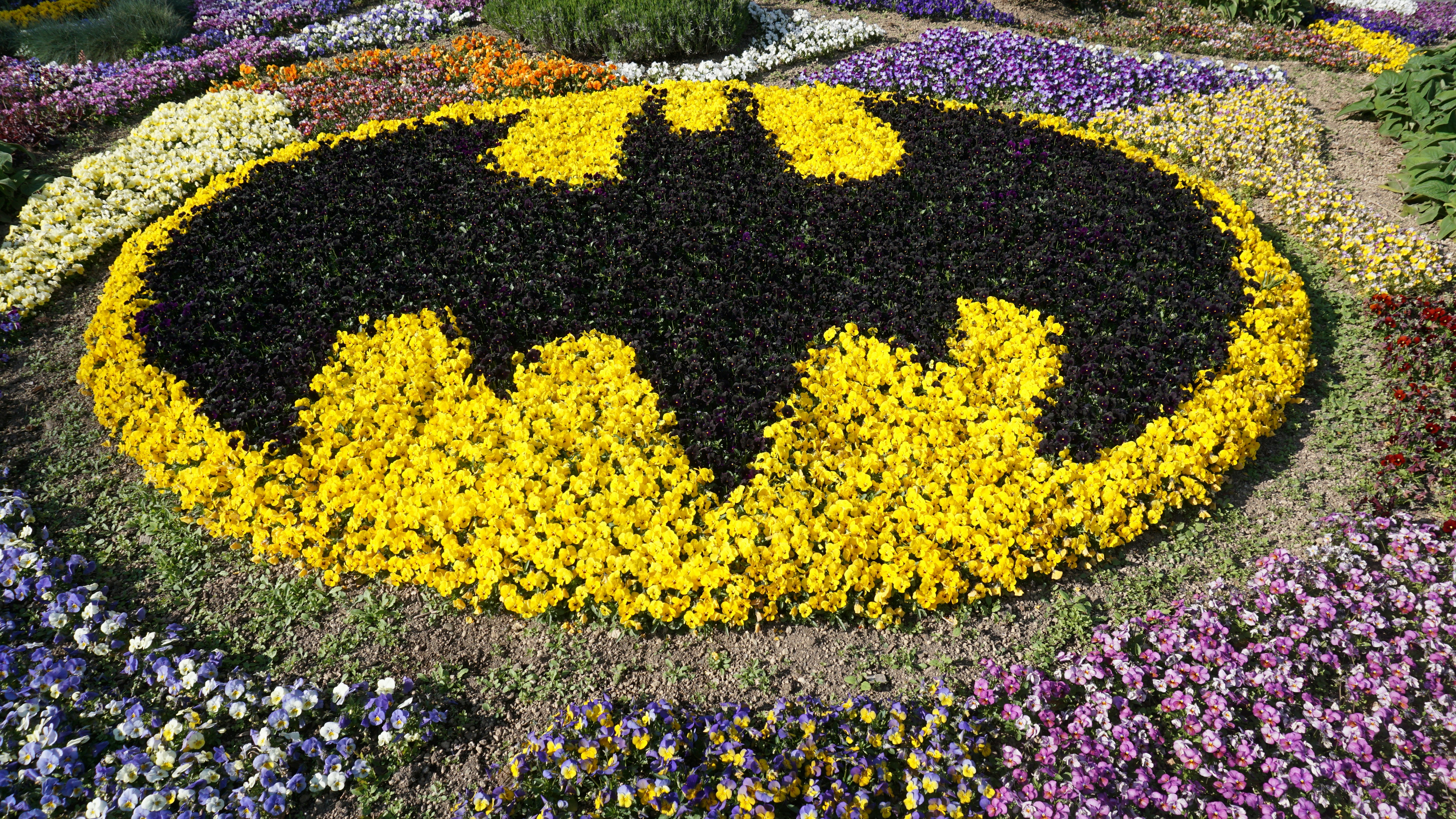Bat-Signature in Bloom: A Flower Bed Crowned Emblem