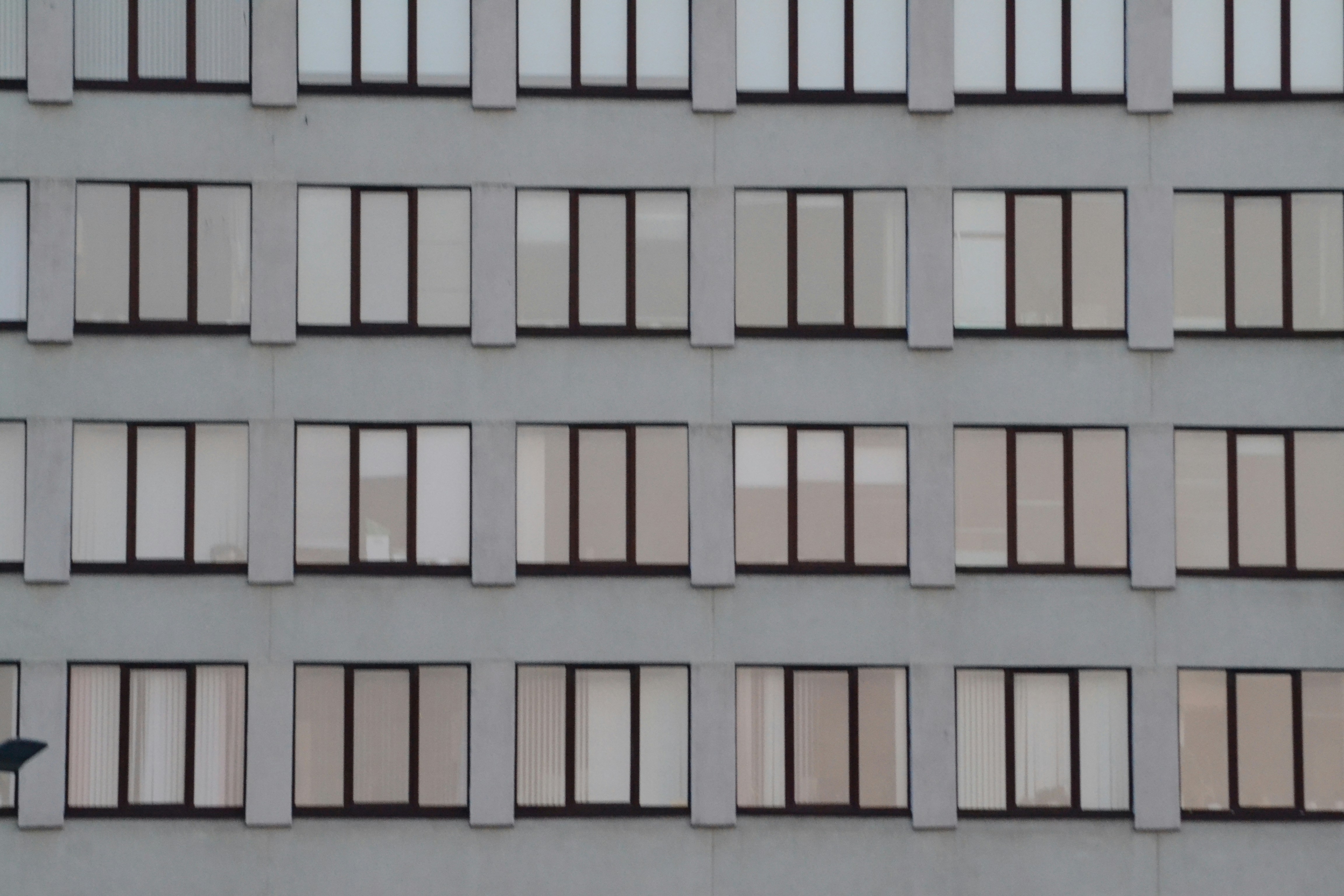 Repeating Windows: A Street-Framed Facade of Glass and Concrete