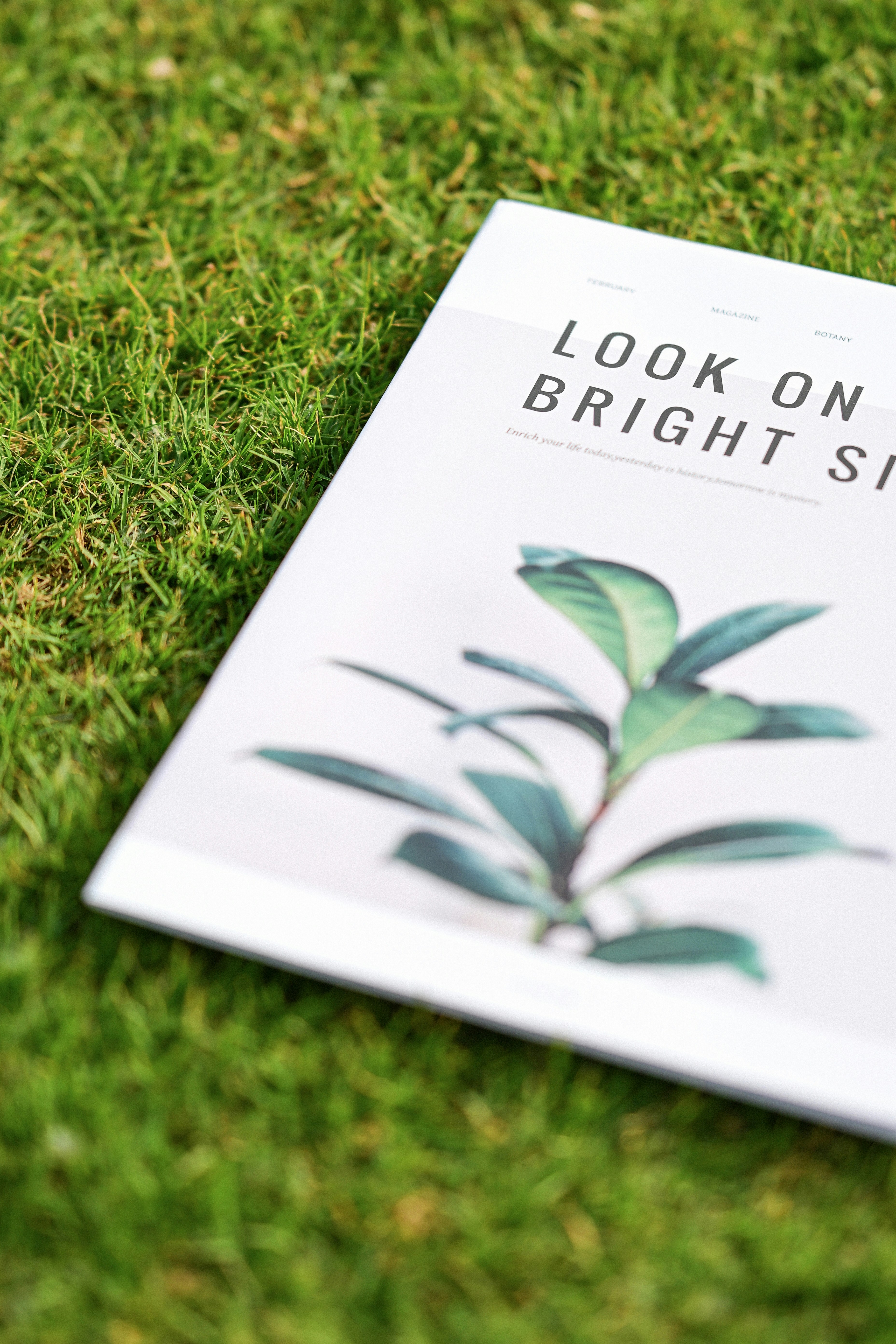 Bright Lines: A Minimal Magazine Sliced Across Fresh Grass