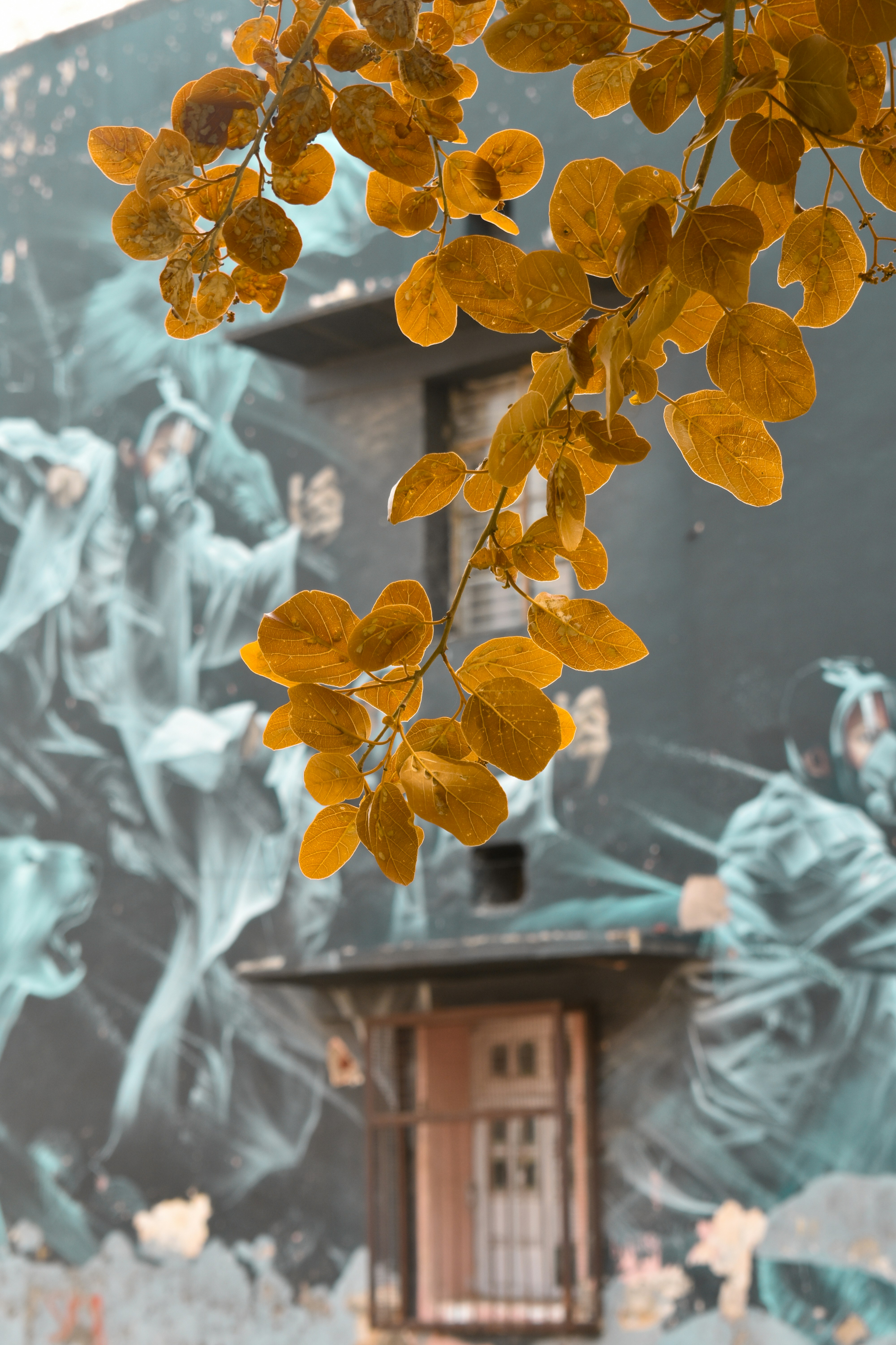 Autumn Gold Draped Over Street Art