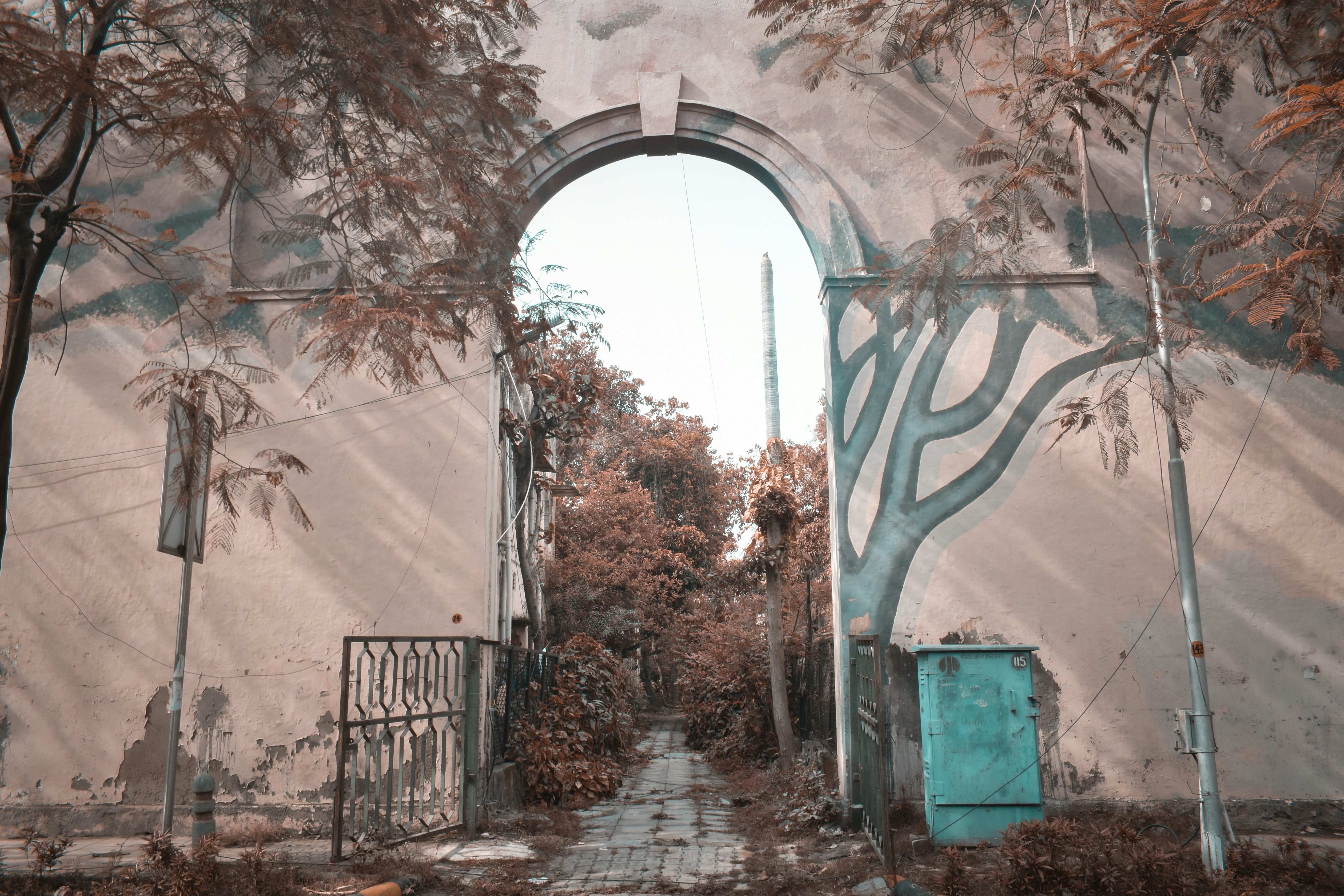 Through the Arch: A Quiet Path Beneath a Dappled Canopy