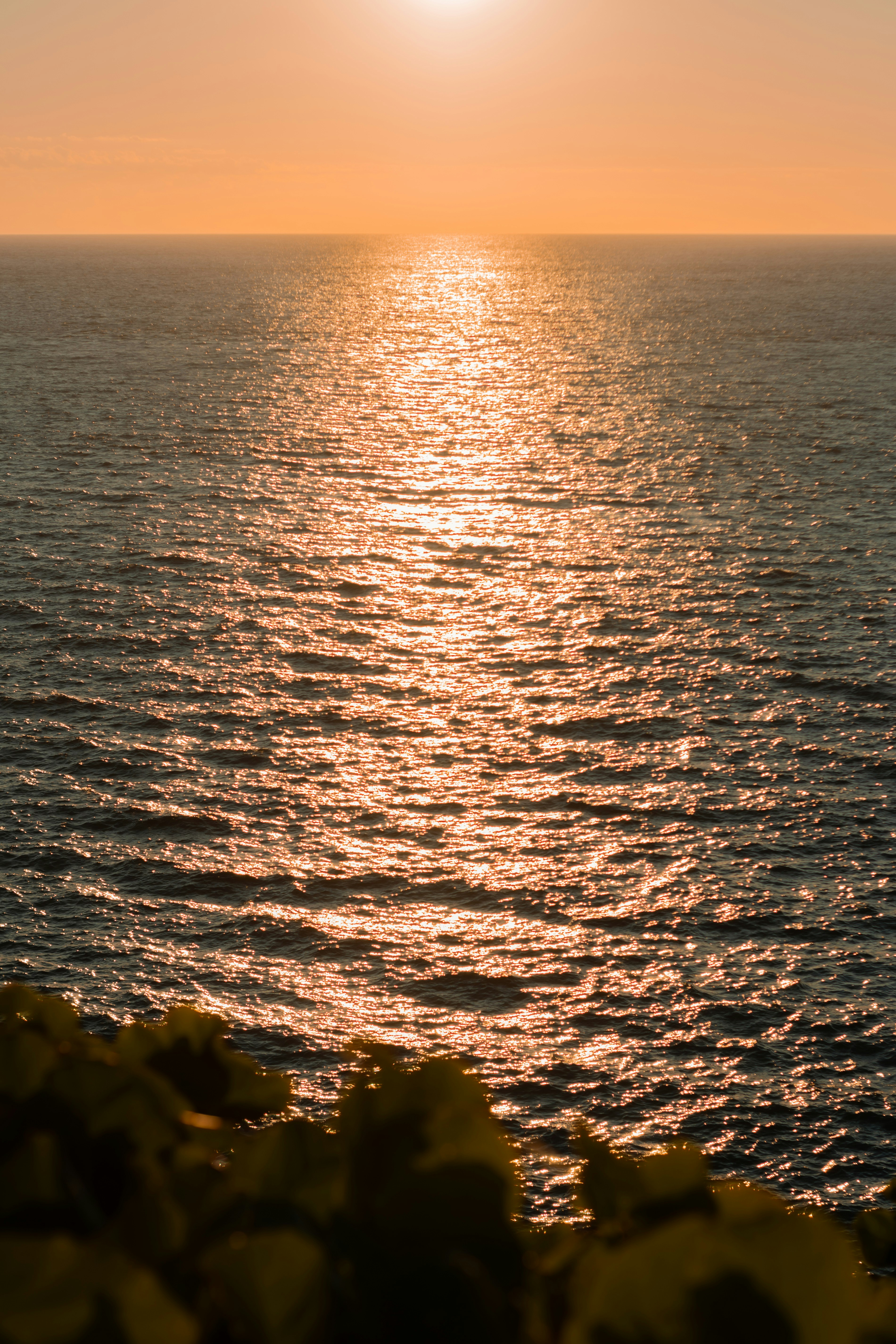 Gilded Horizon: Sunlit Sea Quietly Dances with Dawn