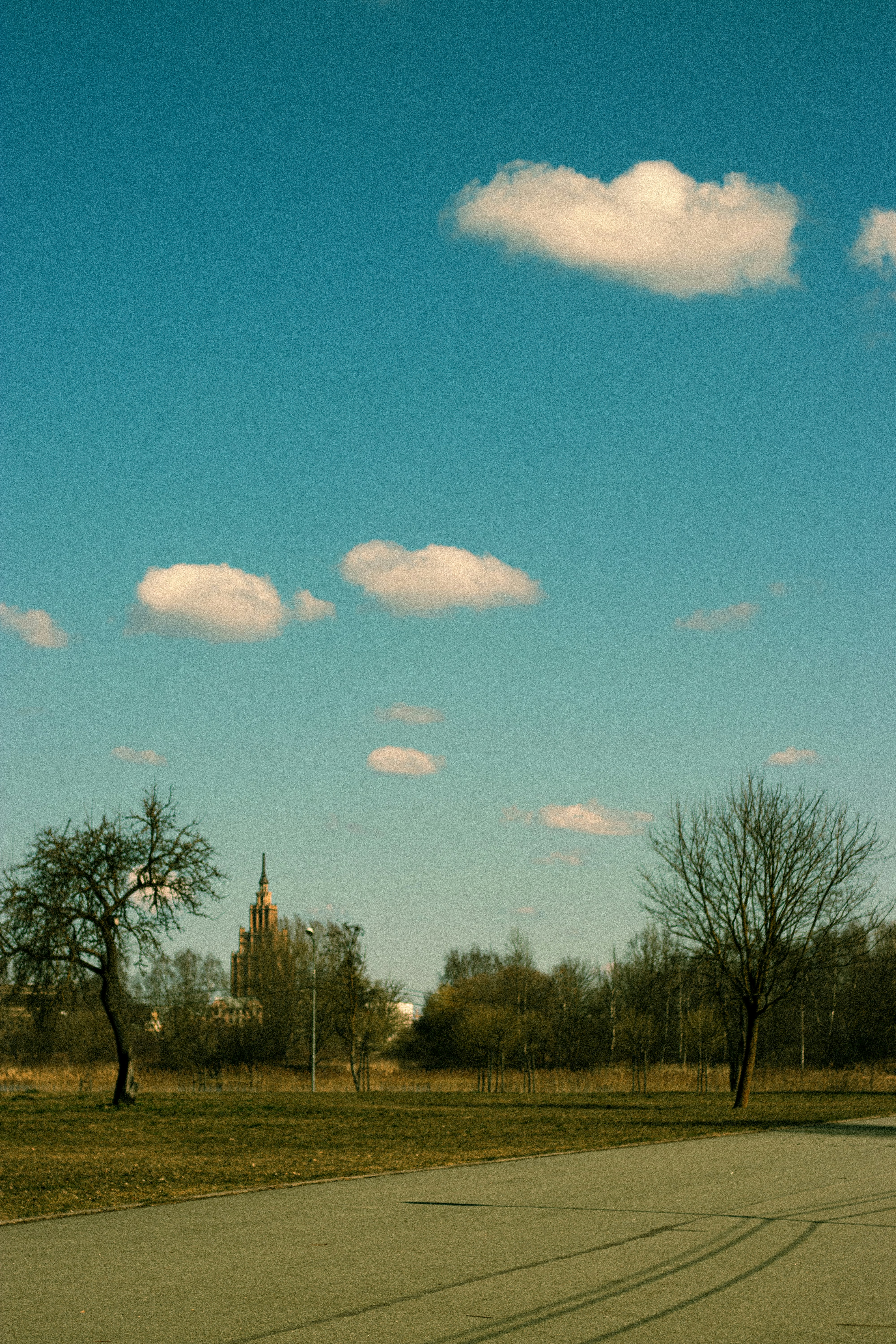Quiet Parkland with Distant Clock Tower under a Clear Sky