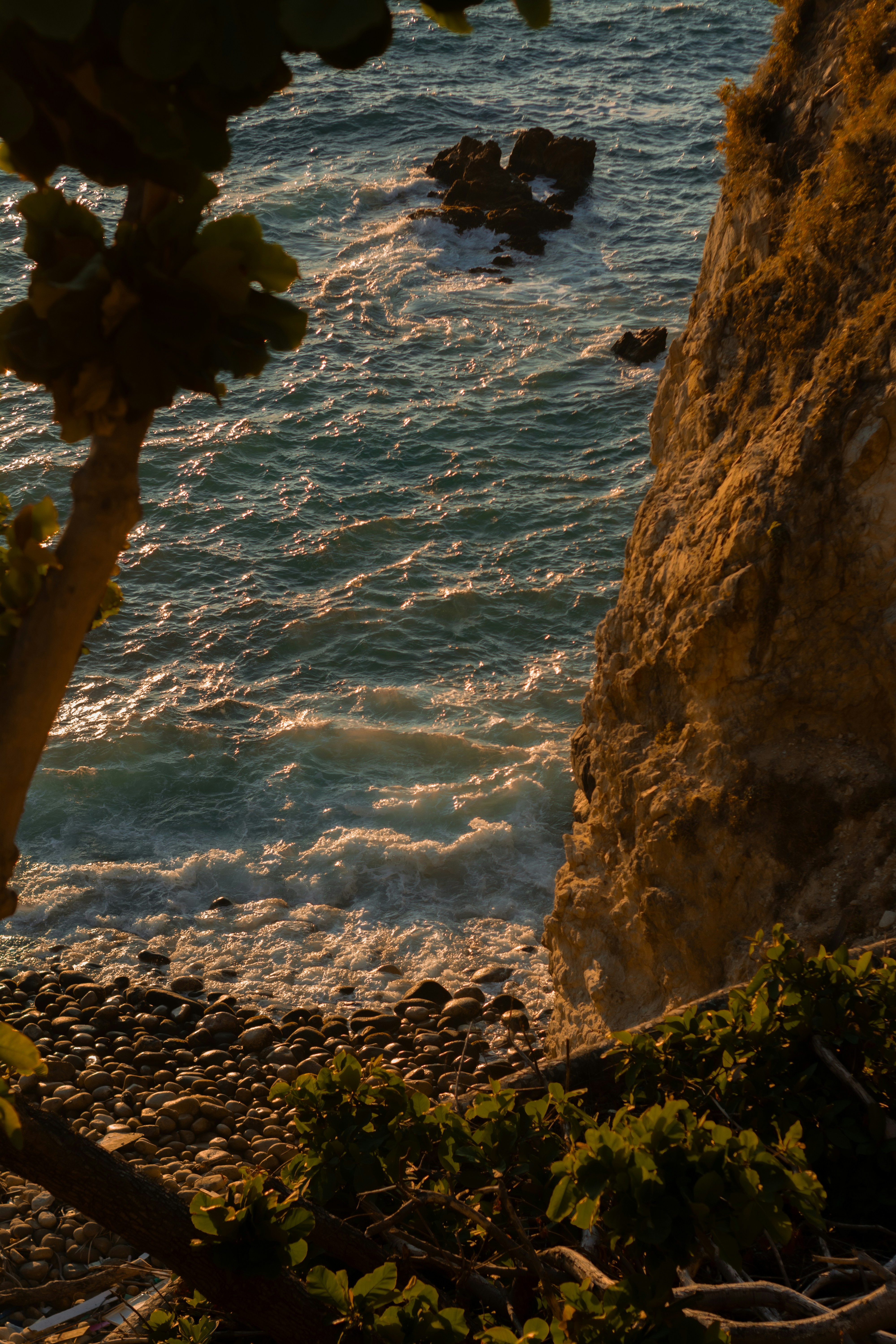 Sunlit Cliffside Overlook Above the Pebble Beach