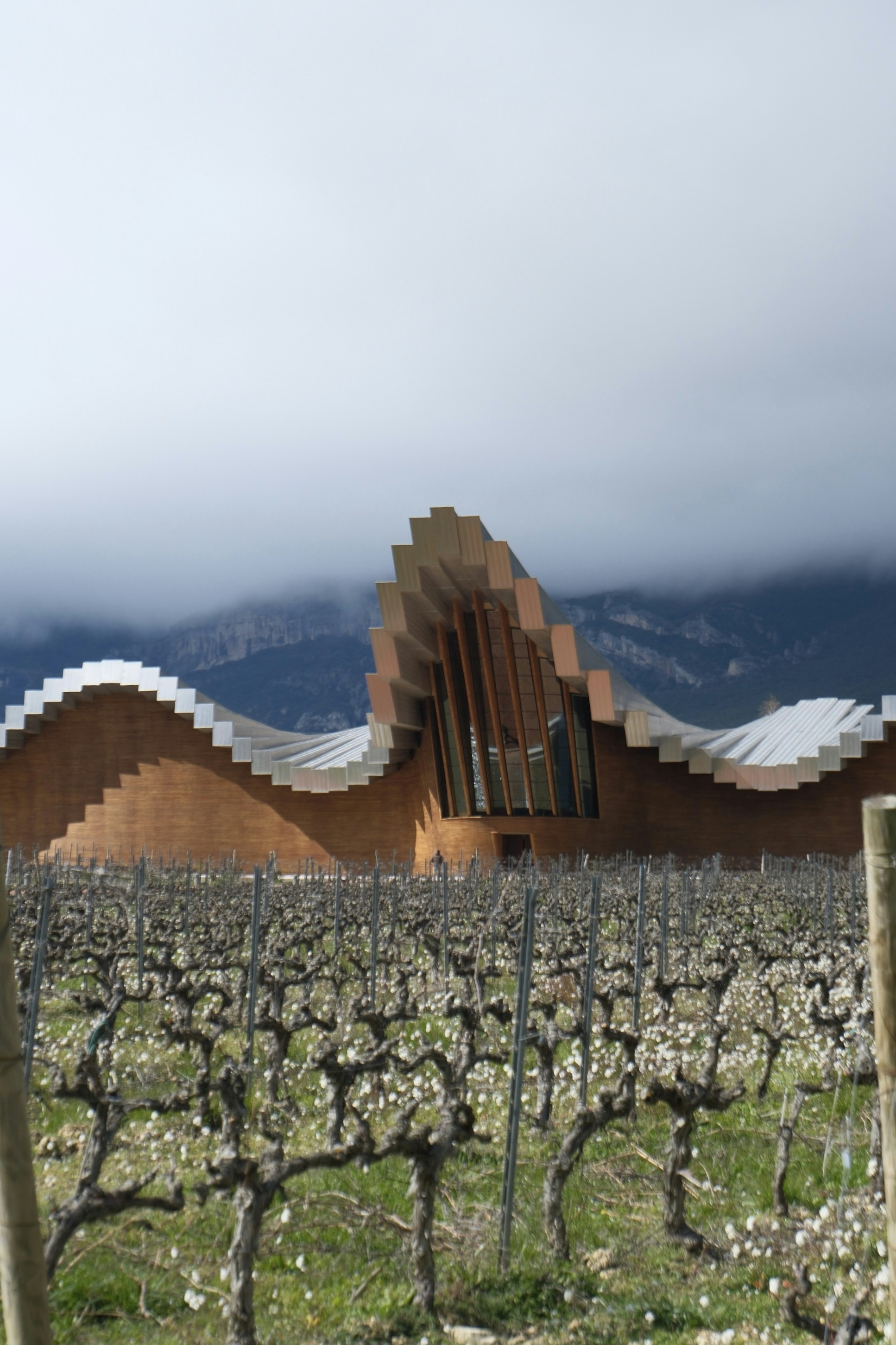 Architectural Waves Over Vines