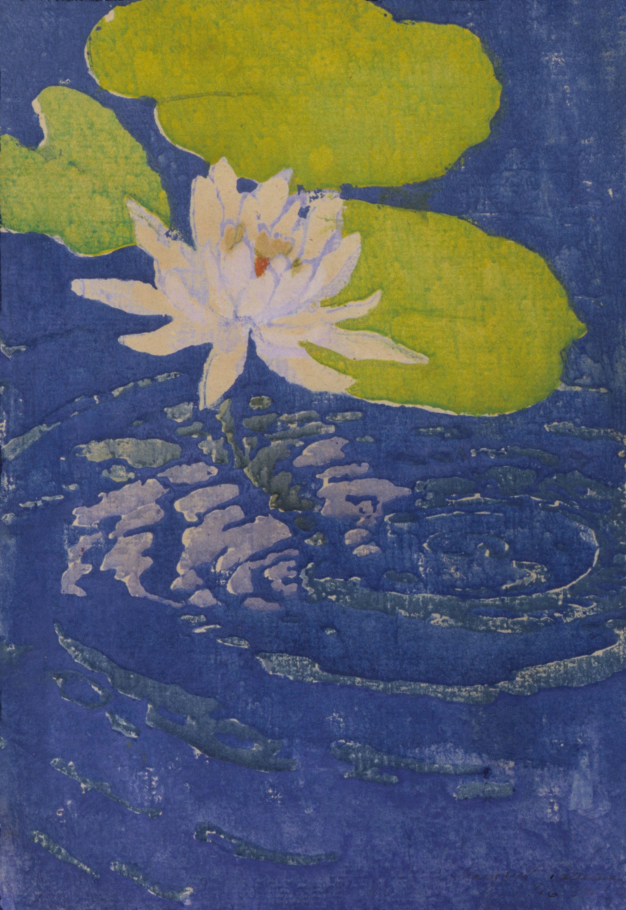 Lilypad Bloom on Indigo Waters