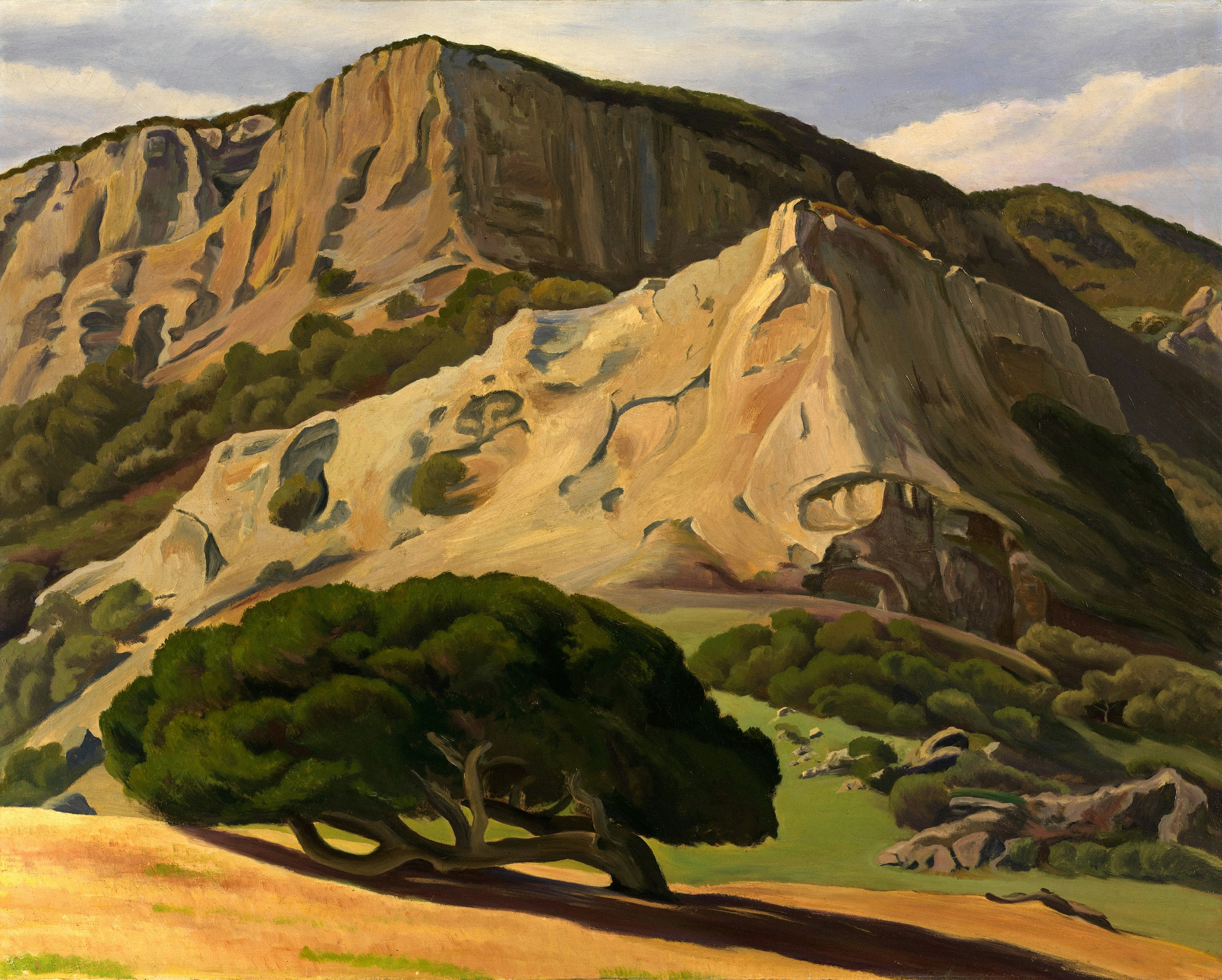 Sunlit Cliffs and Tamed Trees on a Rolling Hill