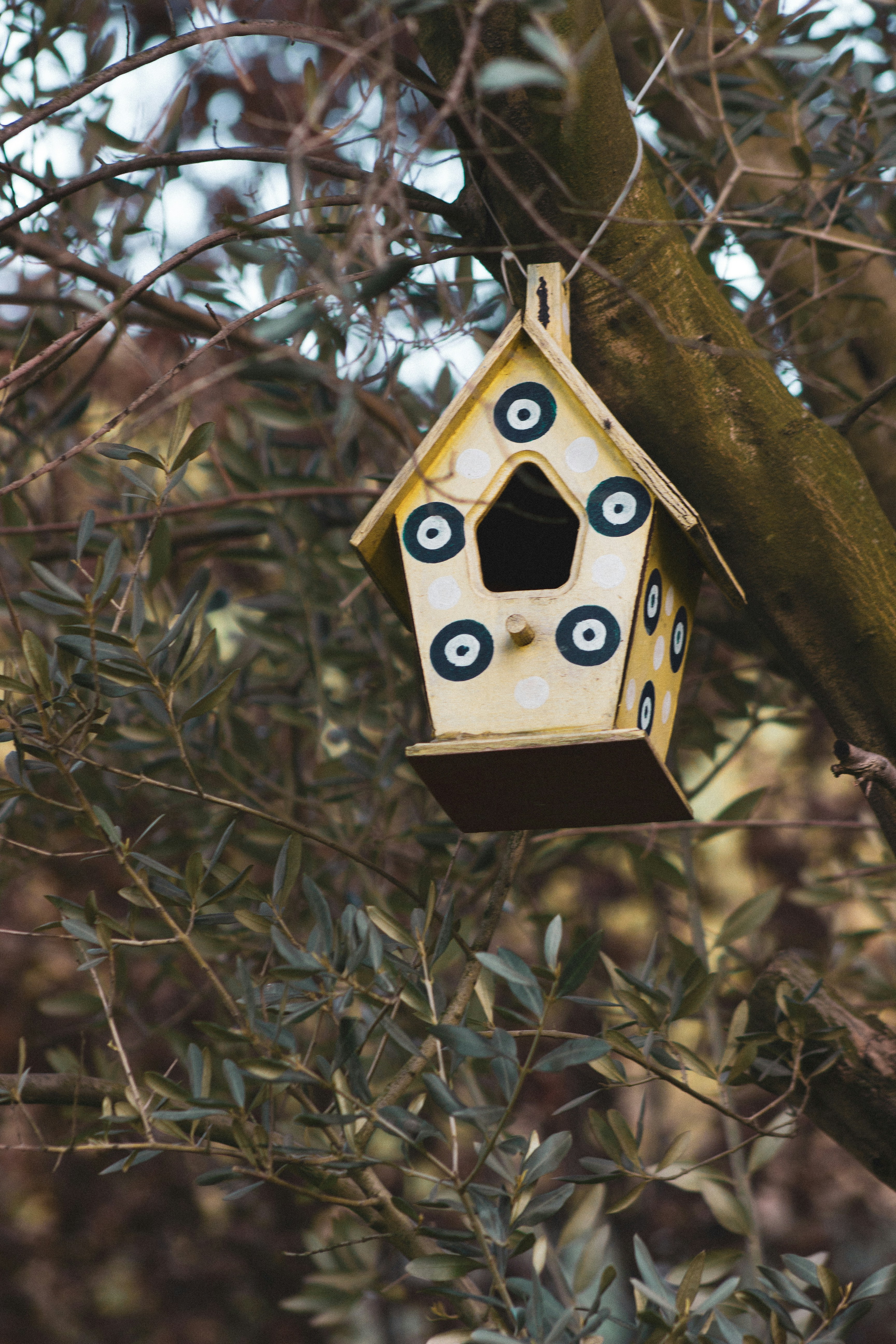 Birdhouse in the Branches: A Whimsical Target-Pattern Nest