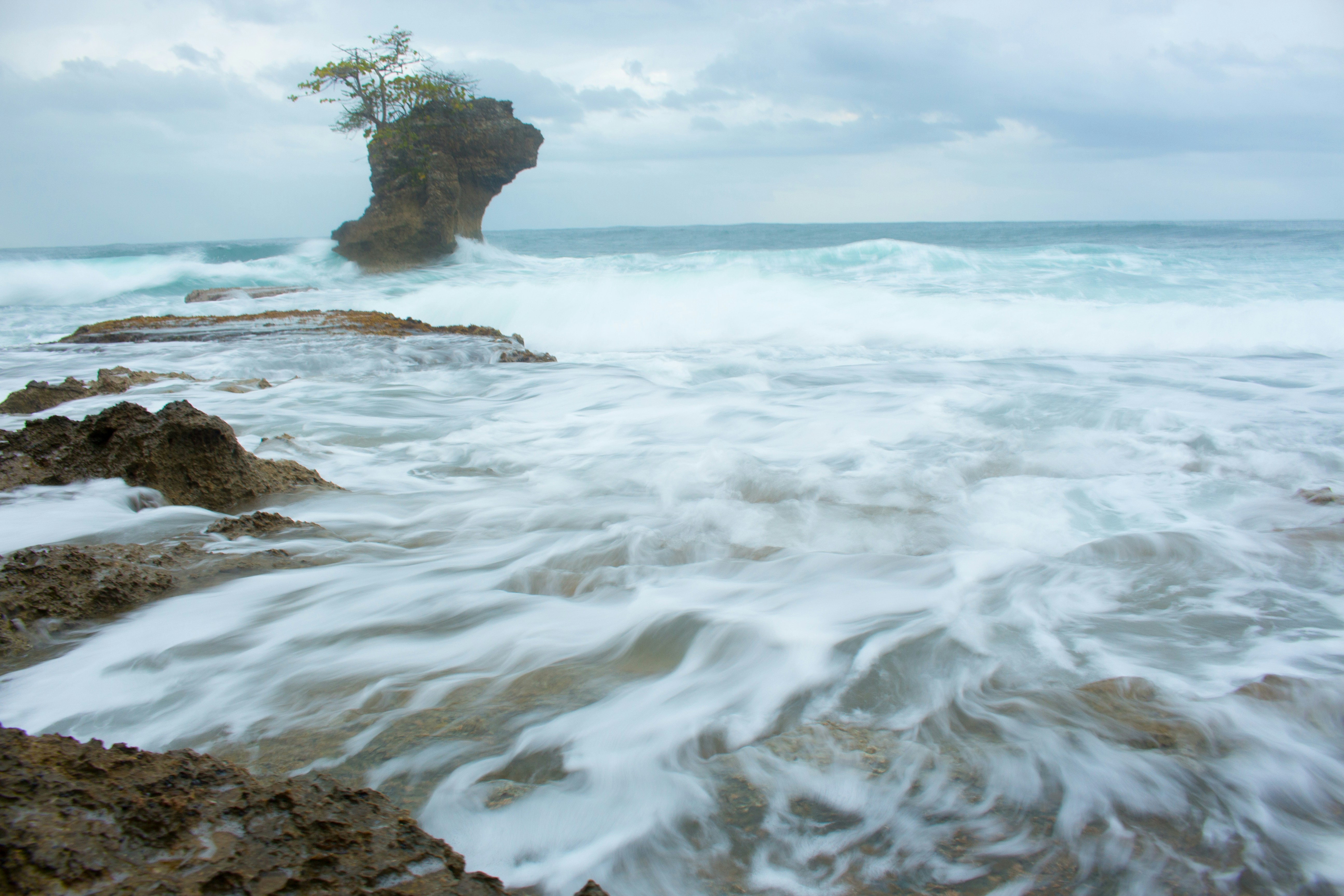 Isolated Sentinel: Lone rock with windswept tree at sea