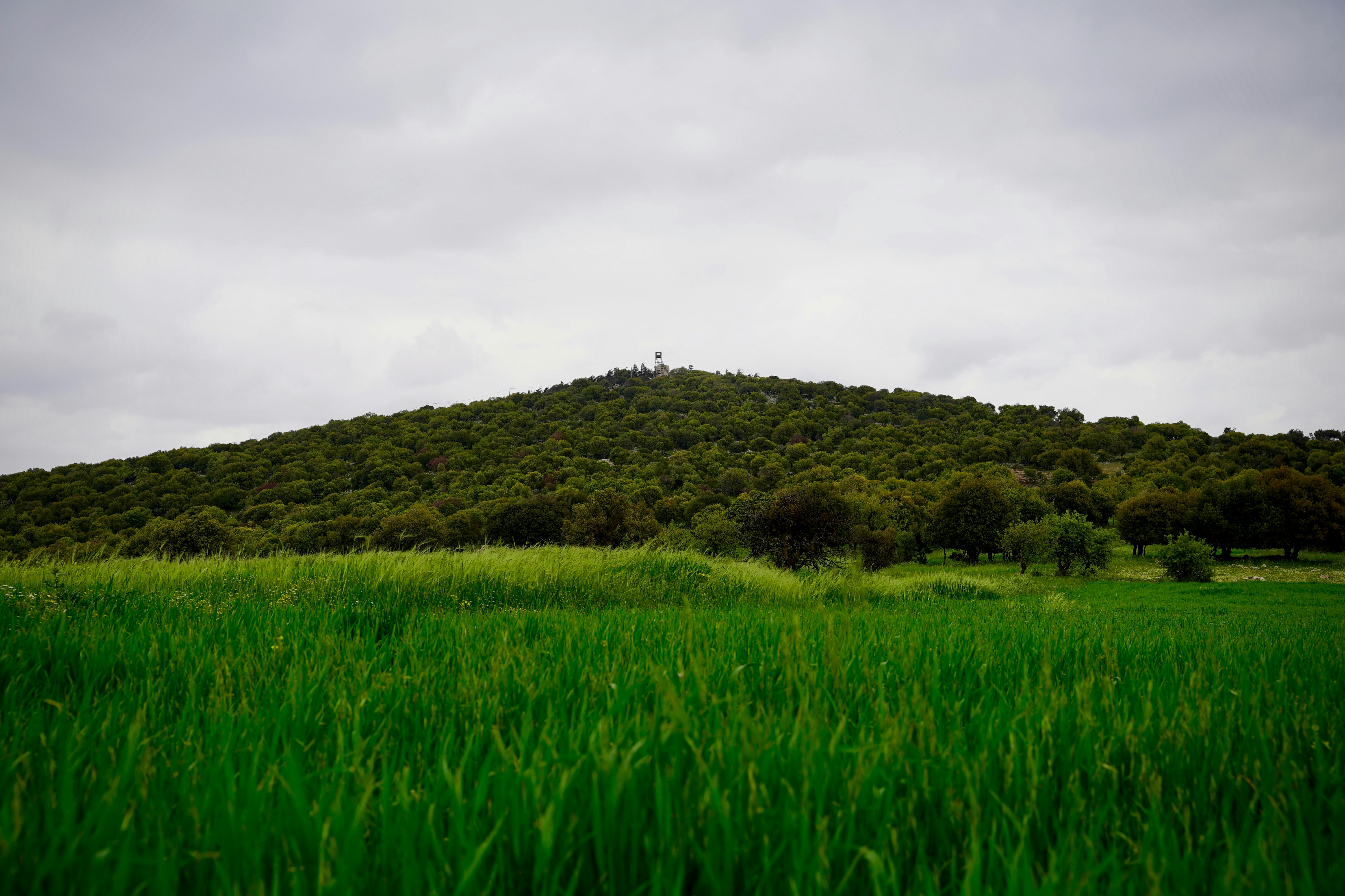 Hilltop Contour: Verdant Field Meets Cloudy Sky