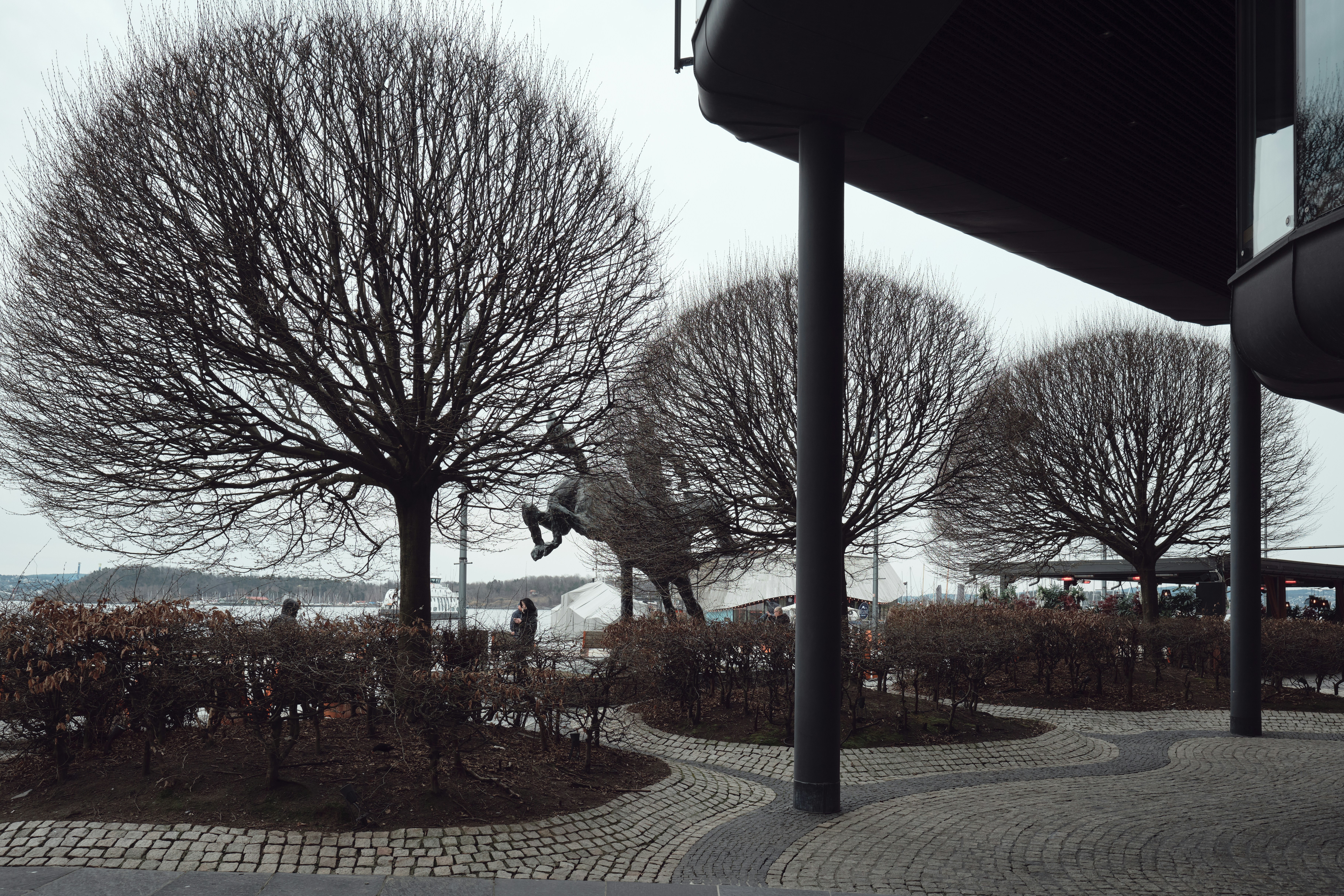 Monochrome Trees and Curved Path at the Waterfront