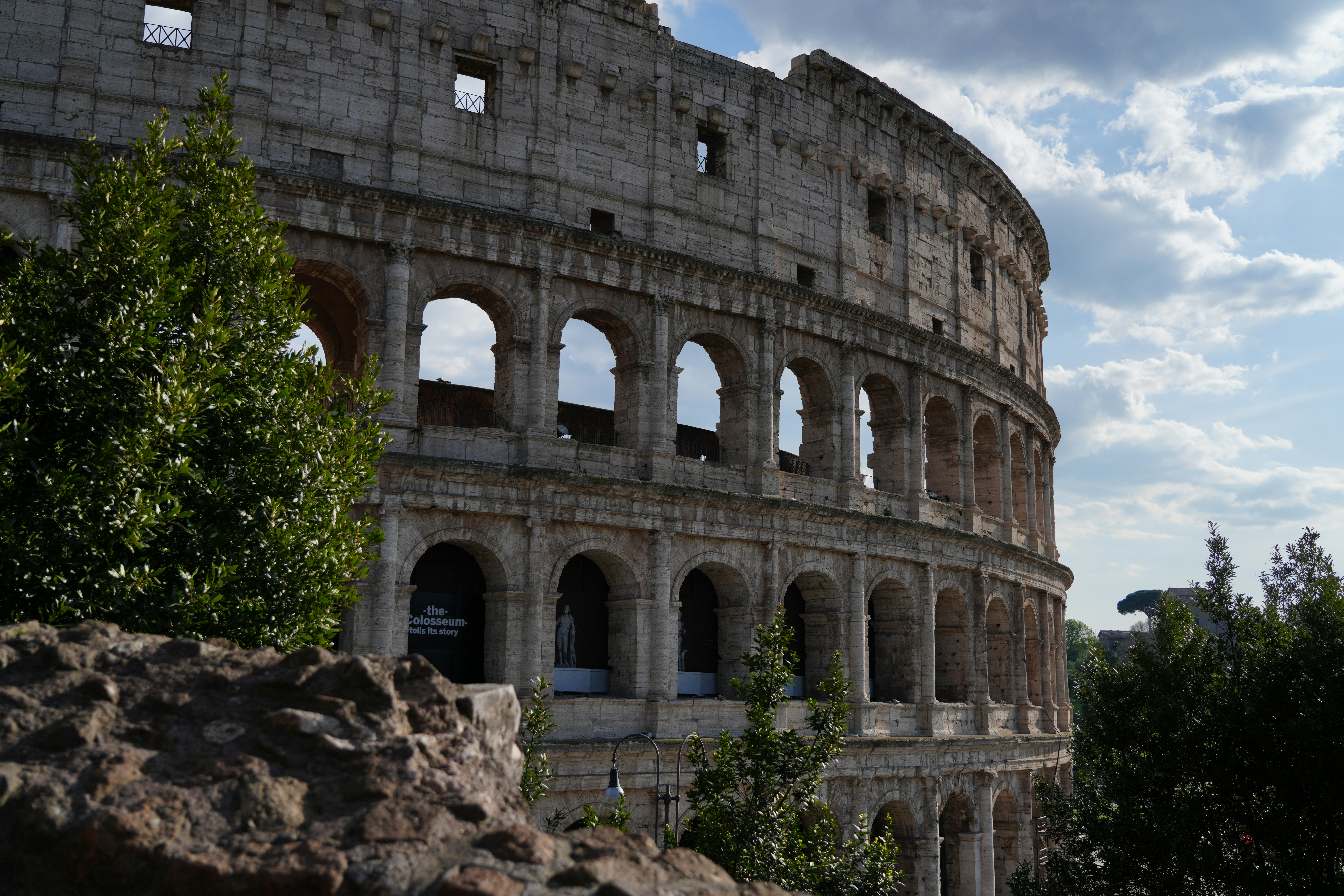 Ivory Arches and Green Canopy: A Side View of the Colosseum at Dappled Light