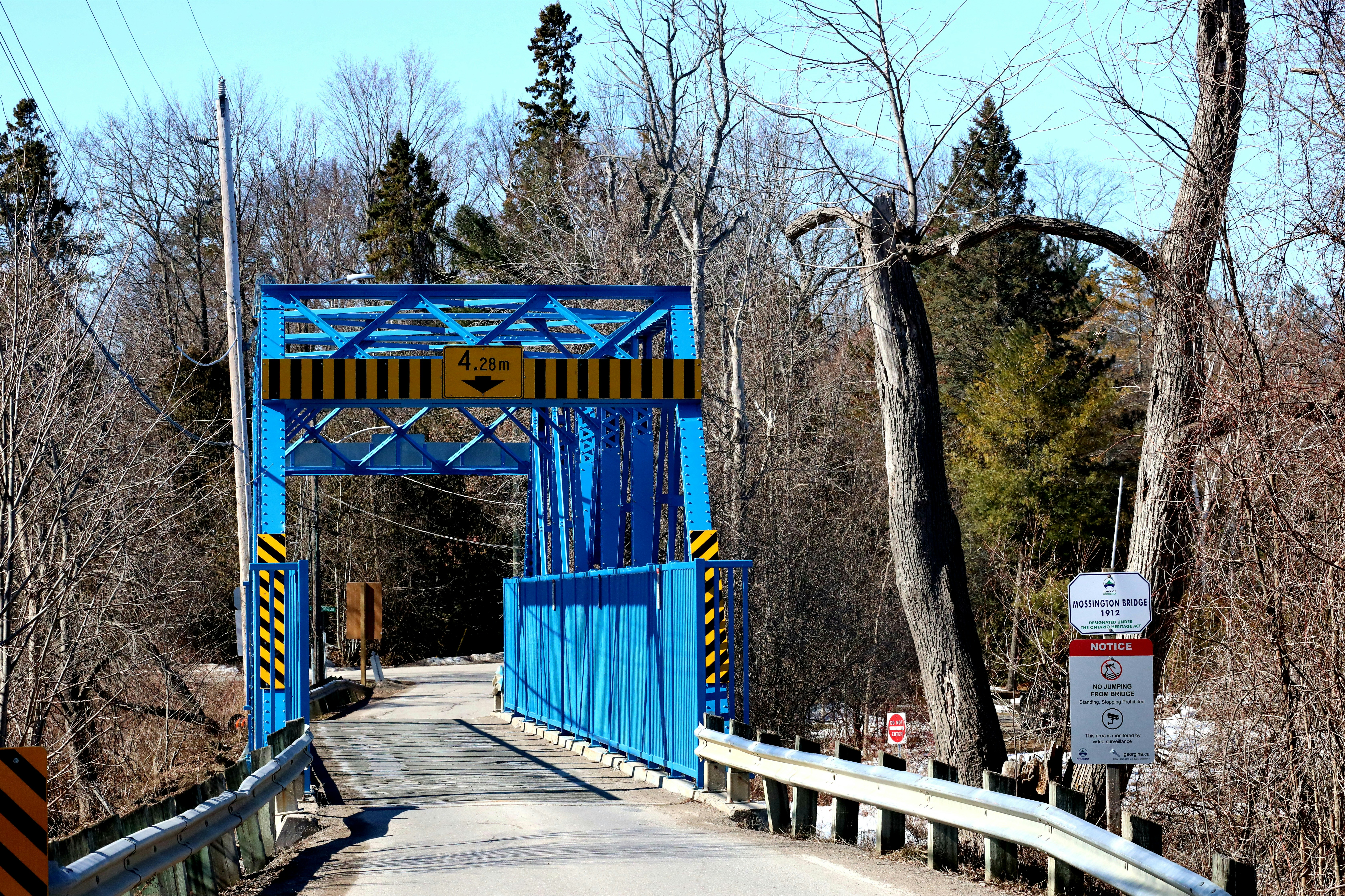 Blue Truss Crossing: A Quiet Bridge to the Pines