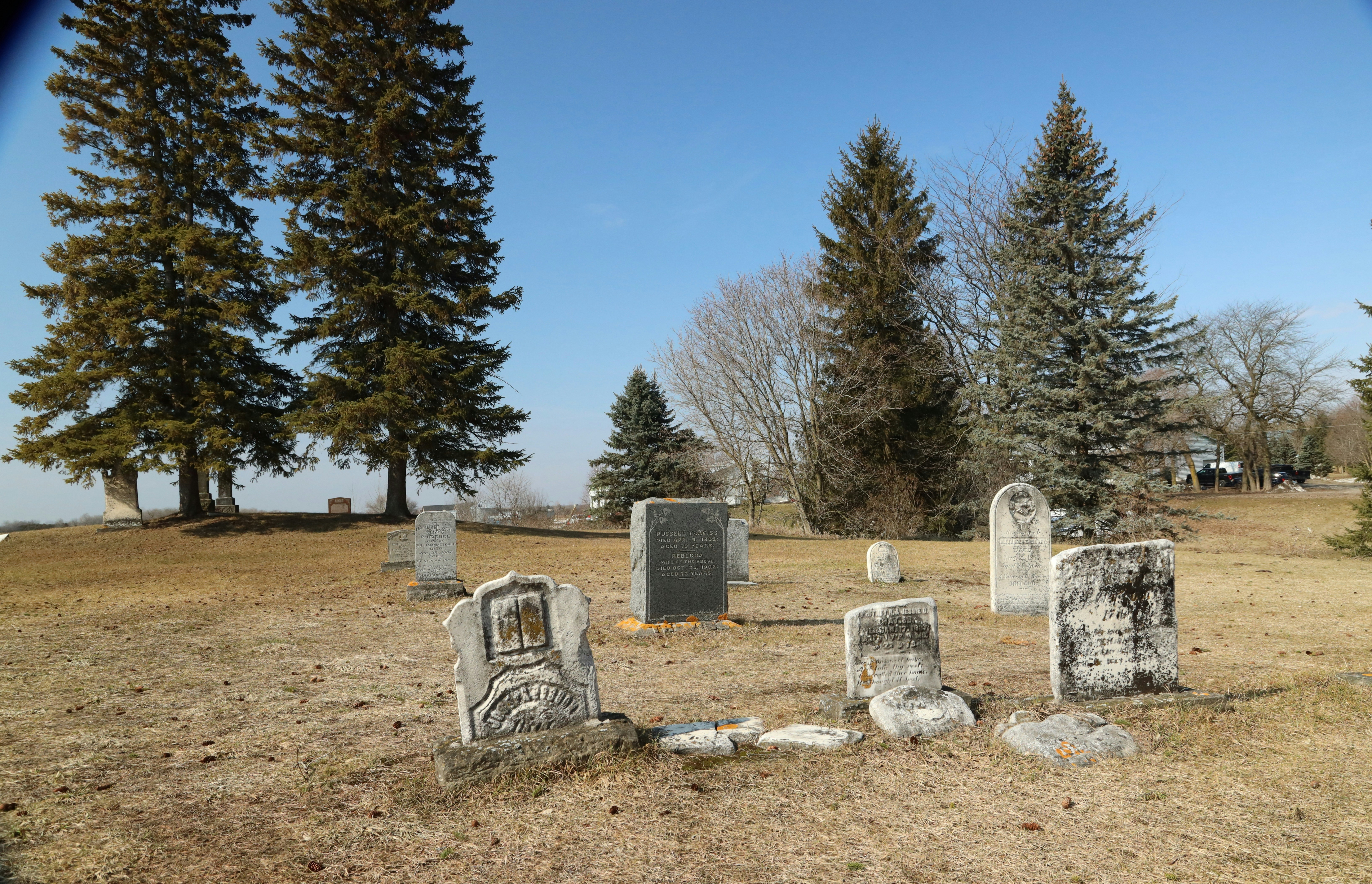 Between Weathered Stones: Sunlit Cemetery Portrait