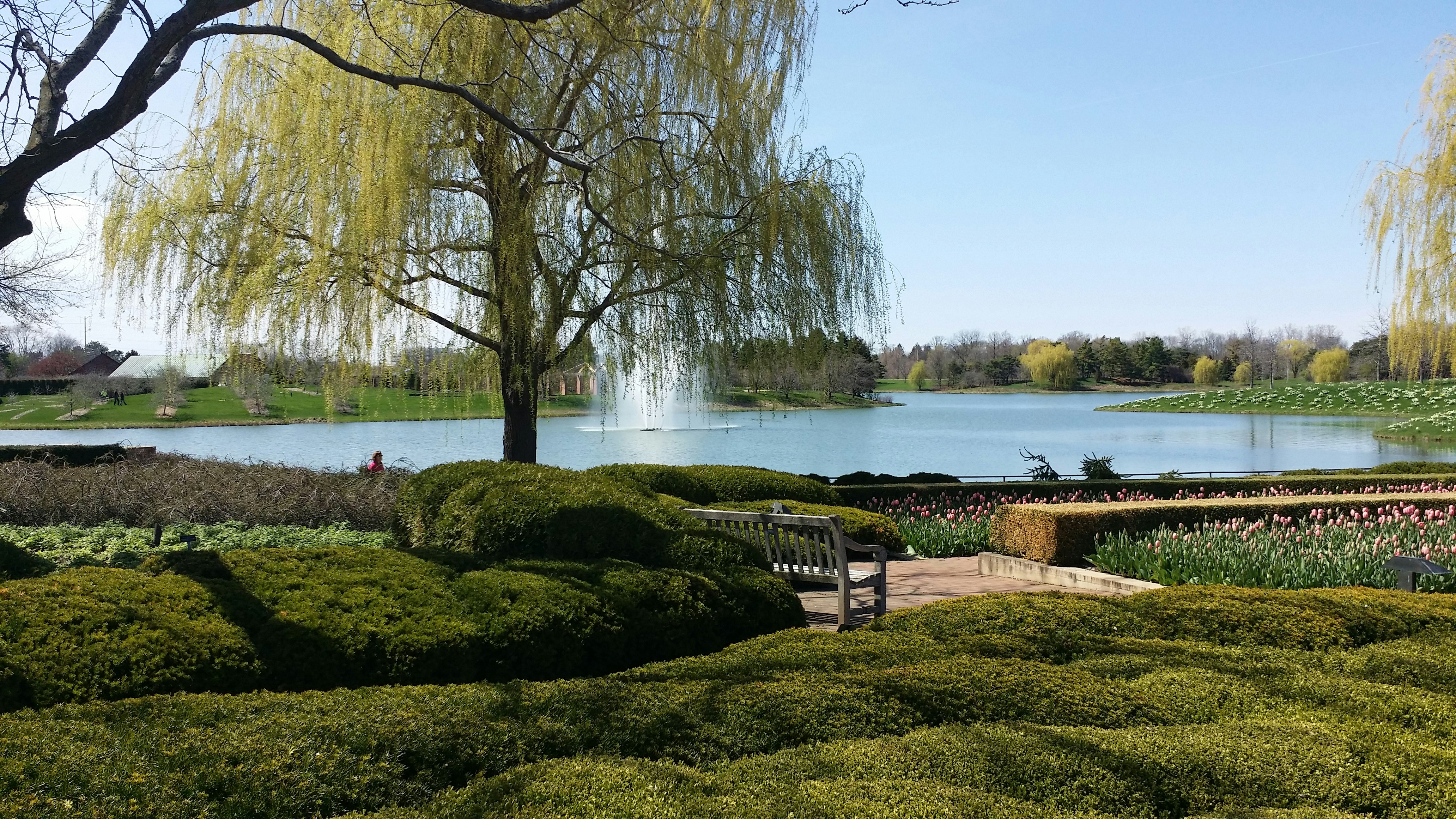 Sunlit Garden Overlooking a Tranquil Lake With a Fountain