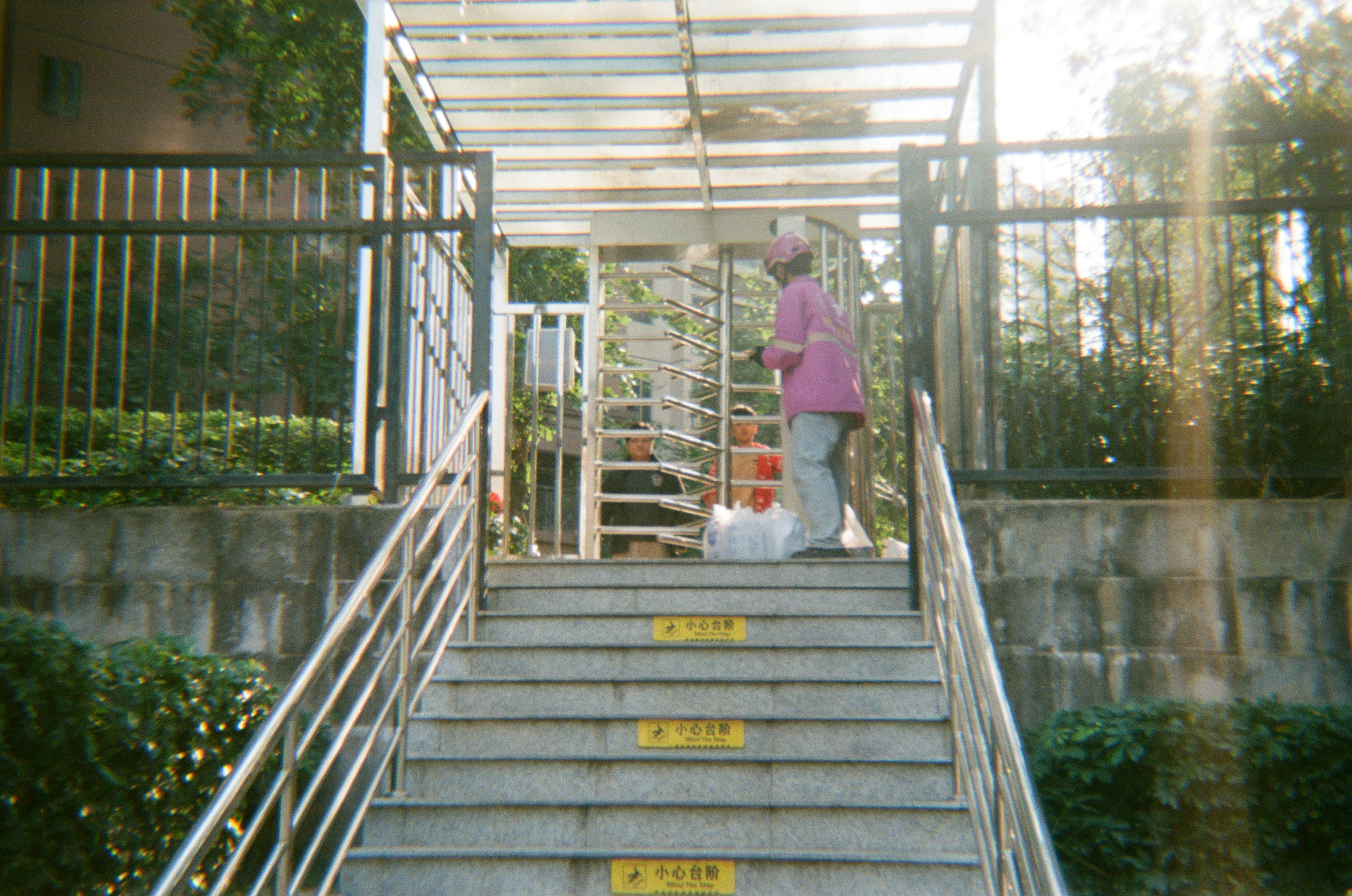 Quiet Staircase Meeting: A Gentle Exchange at Sunlit Steps