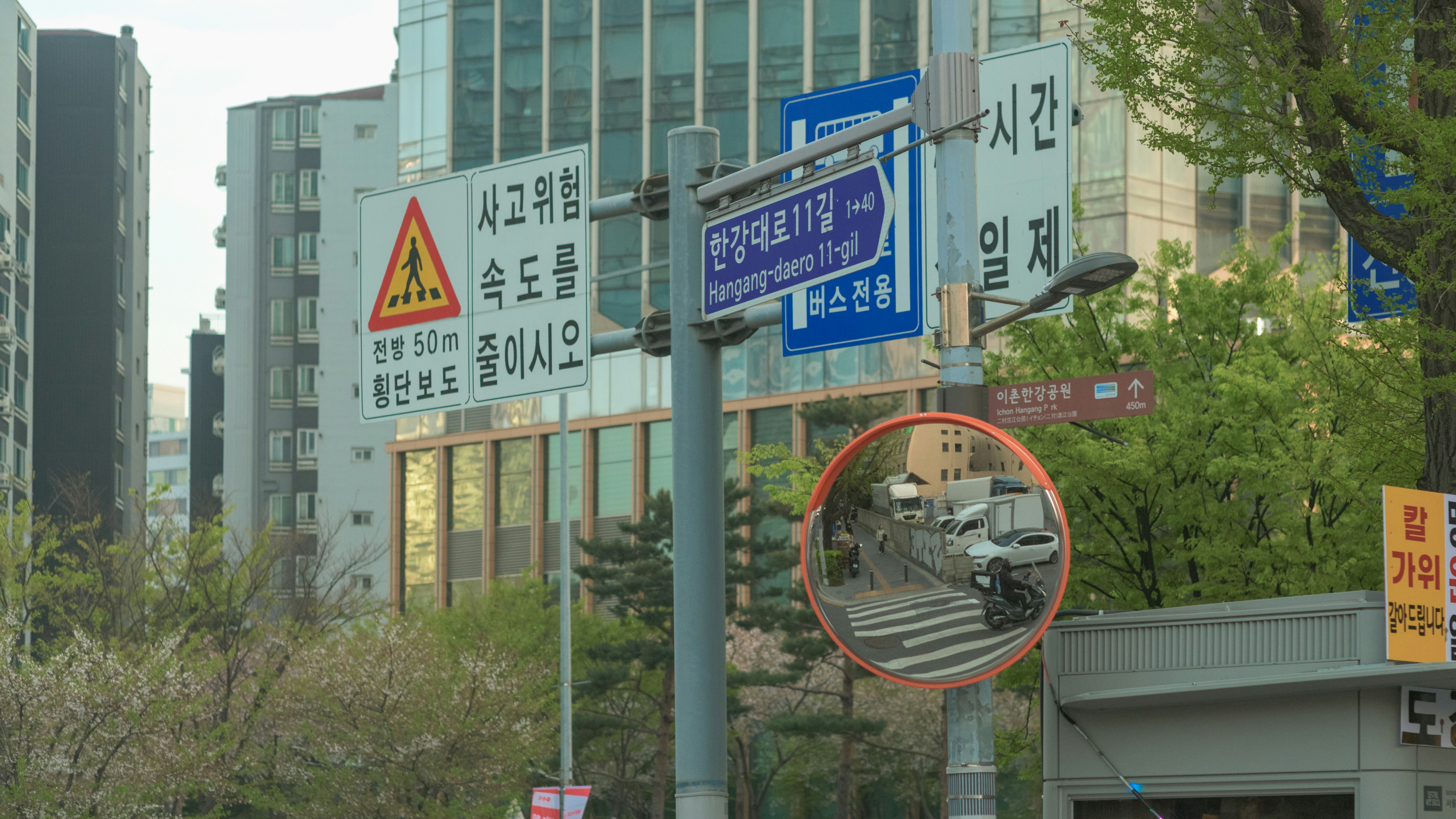 Crosswalk Vigil: Neon Signs and Urban Signals