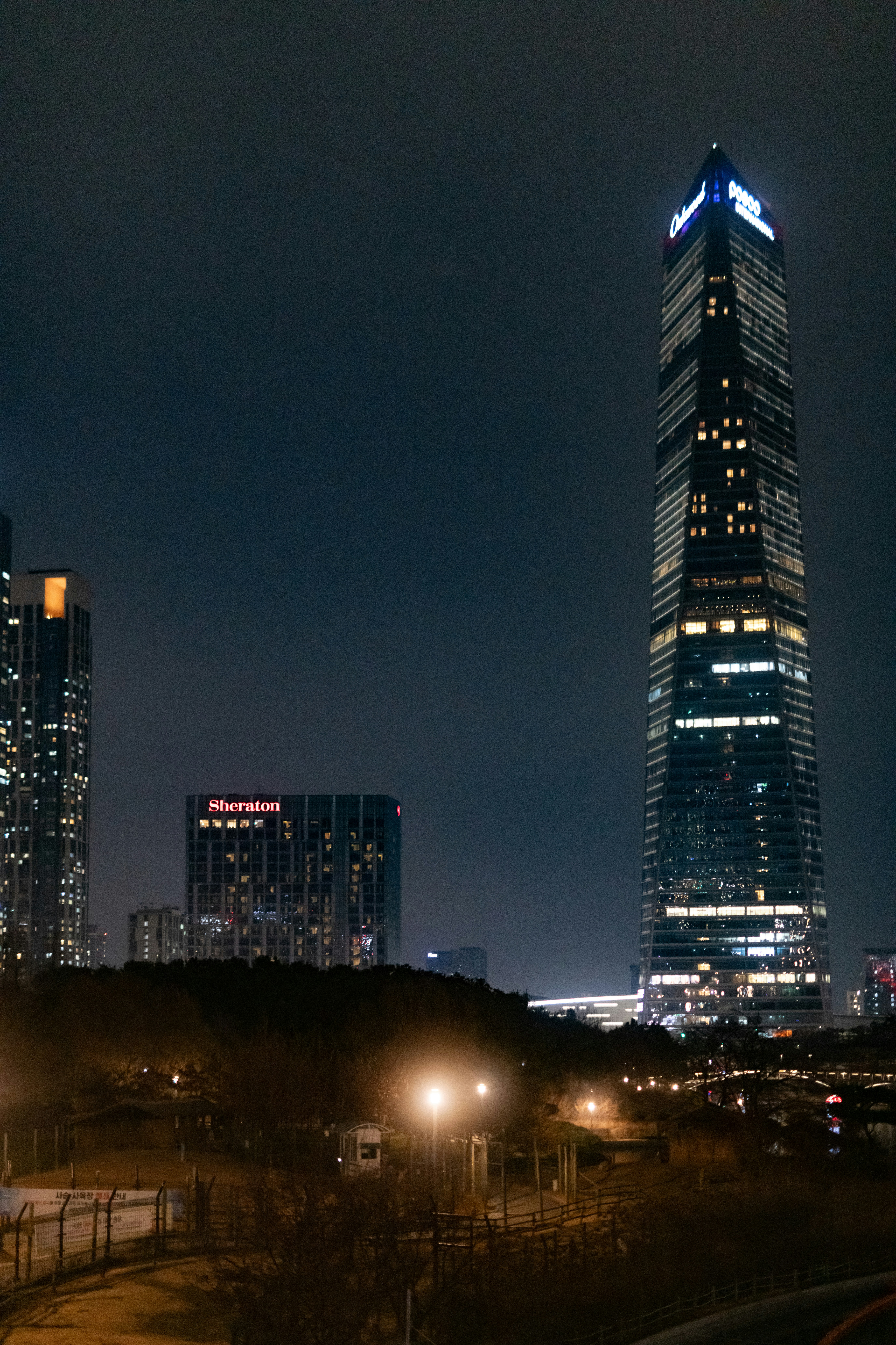 Midnight Skyline: The Tallest Torch Reaching the Night