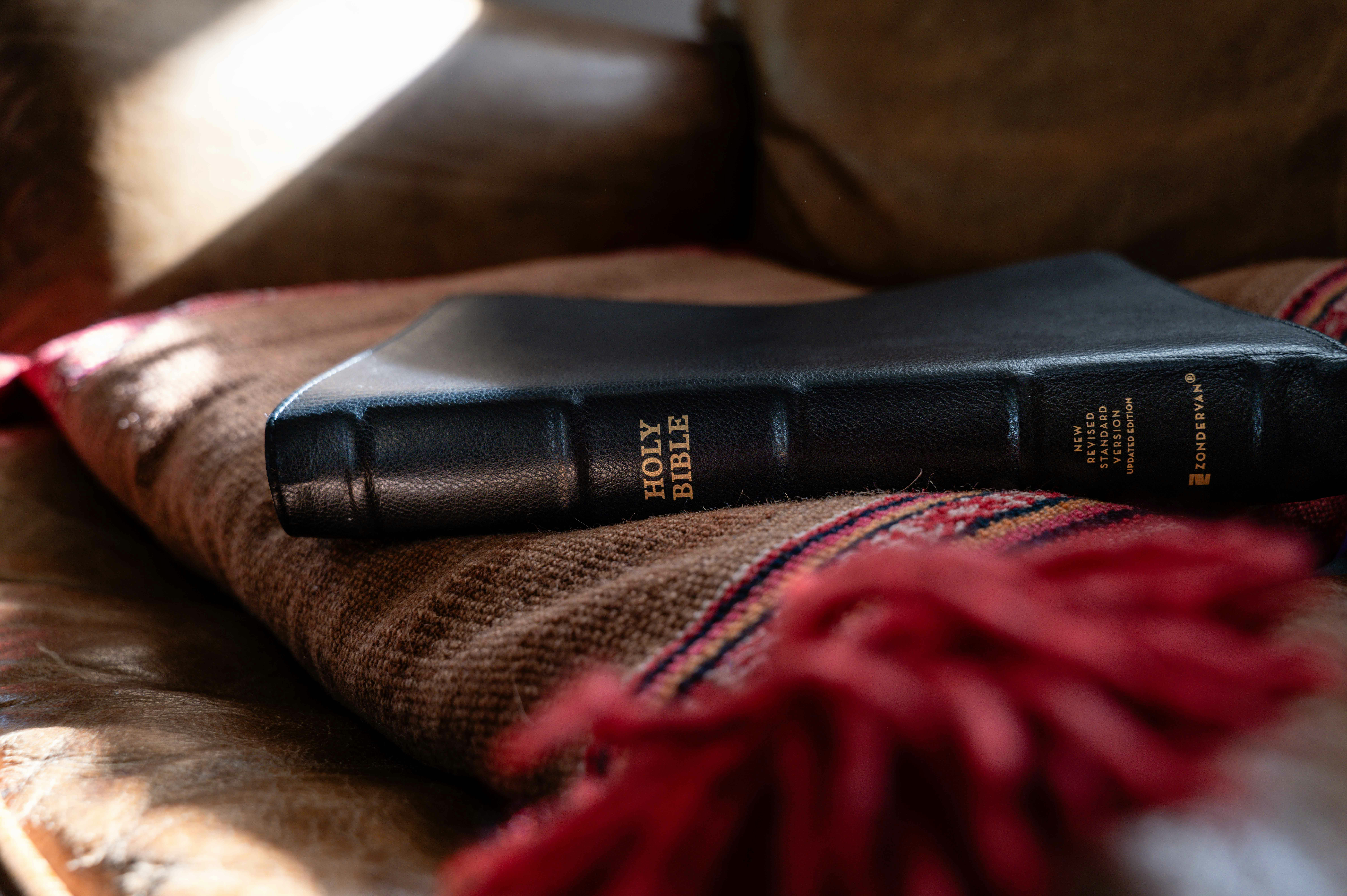 Gentle Light on a Sacred Spine