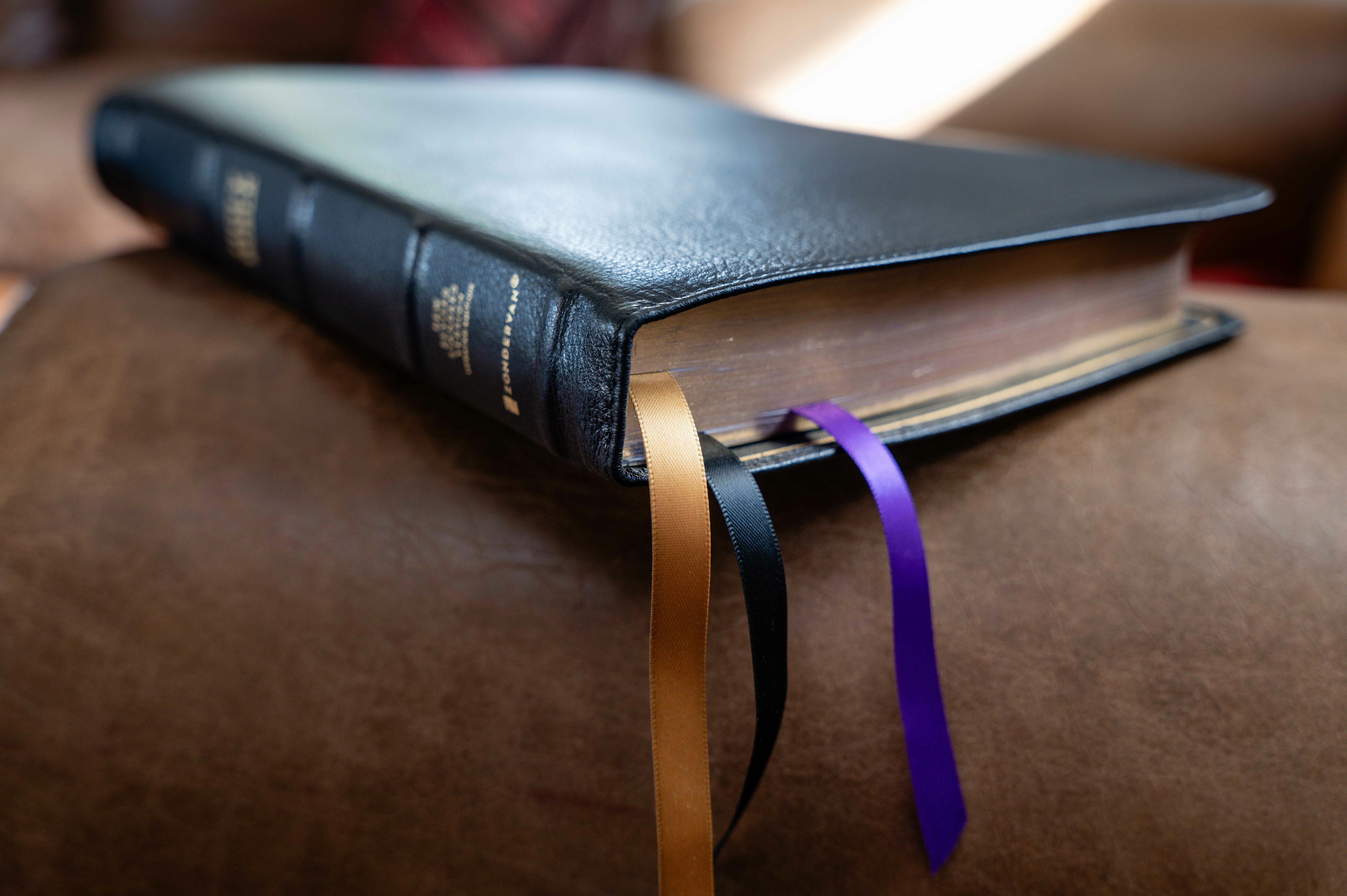 A leather-bound journal resting on a sunlit saddle