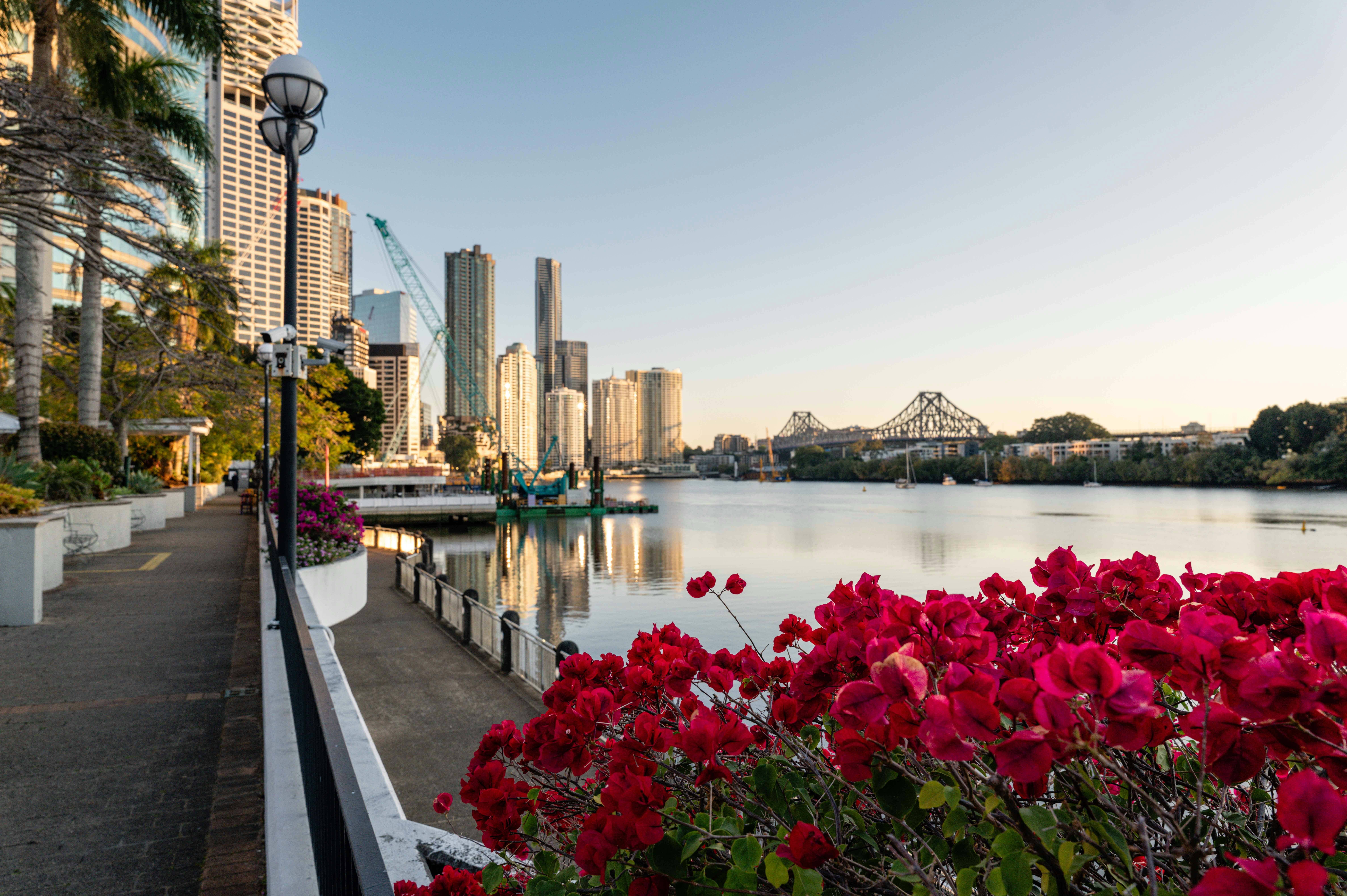 Waterfront Mosaic: Cityscape, Flower Bed, and Riverside Path