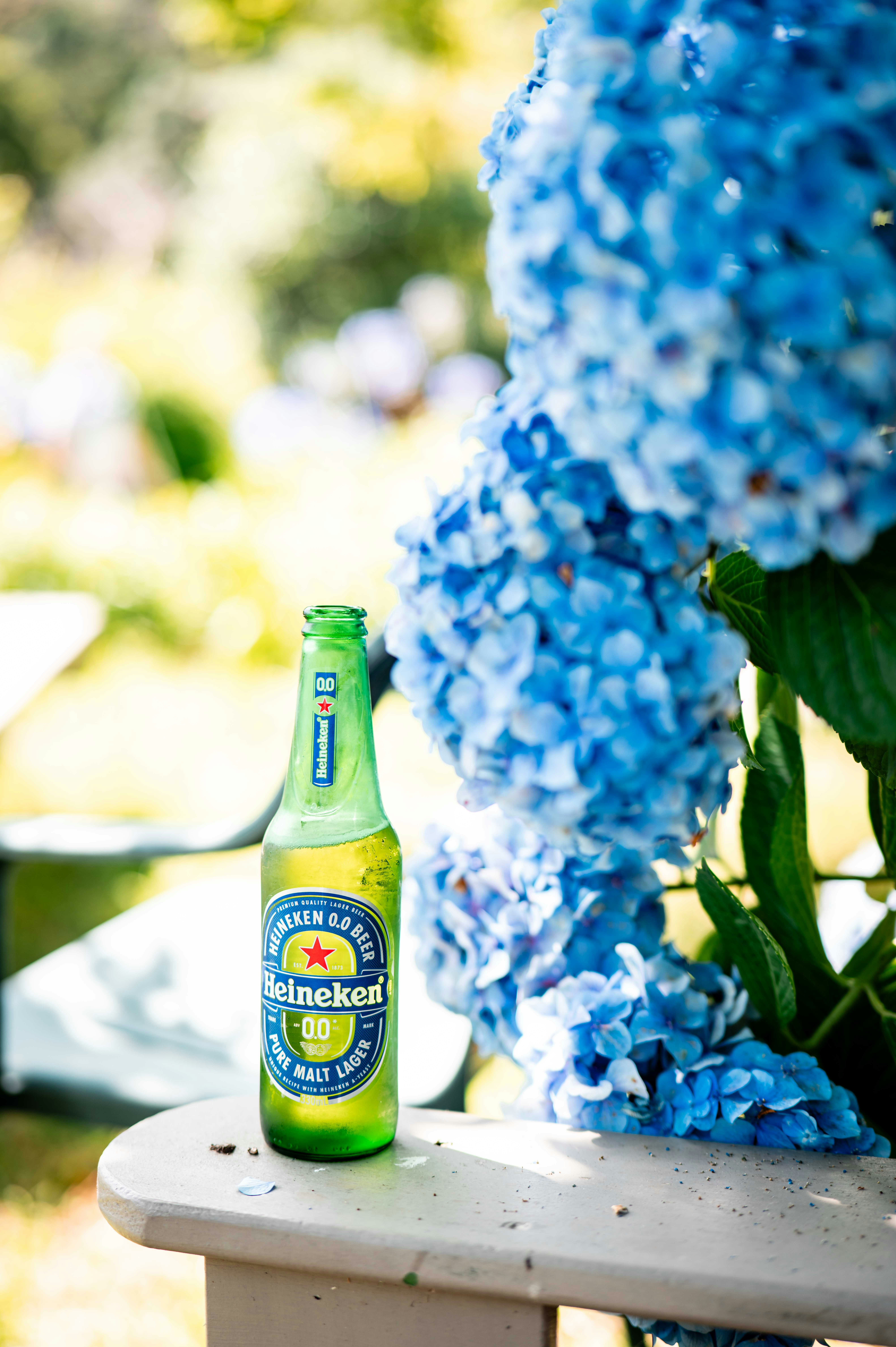 Hydrated Green Spark: Heineken Bottle Anchored by Blue Hydrangea Bloom