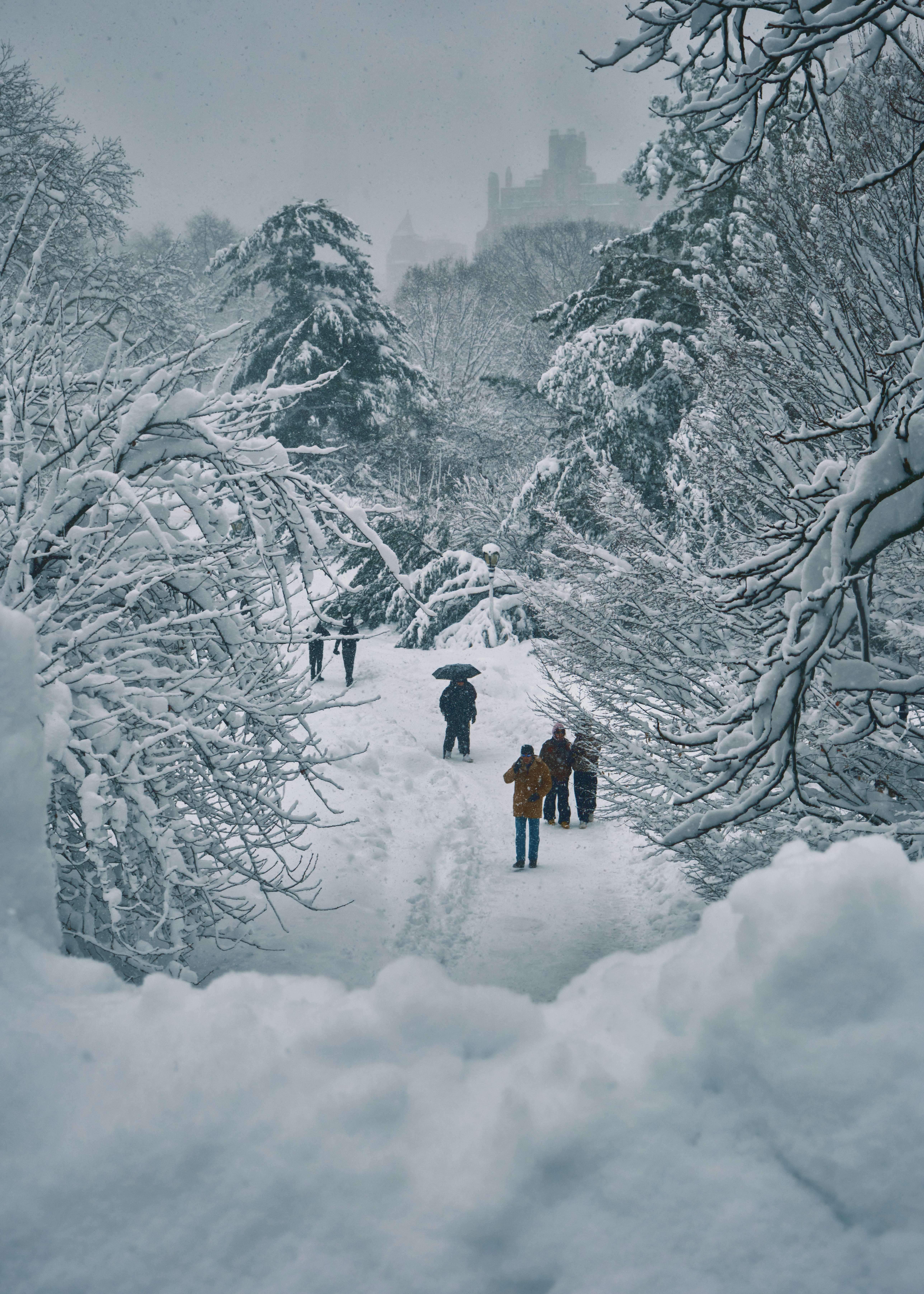 Snowbound Path to the Castle
