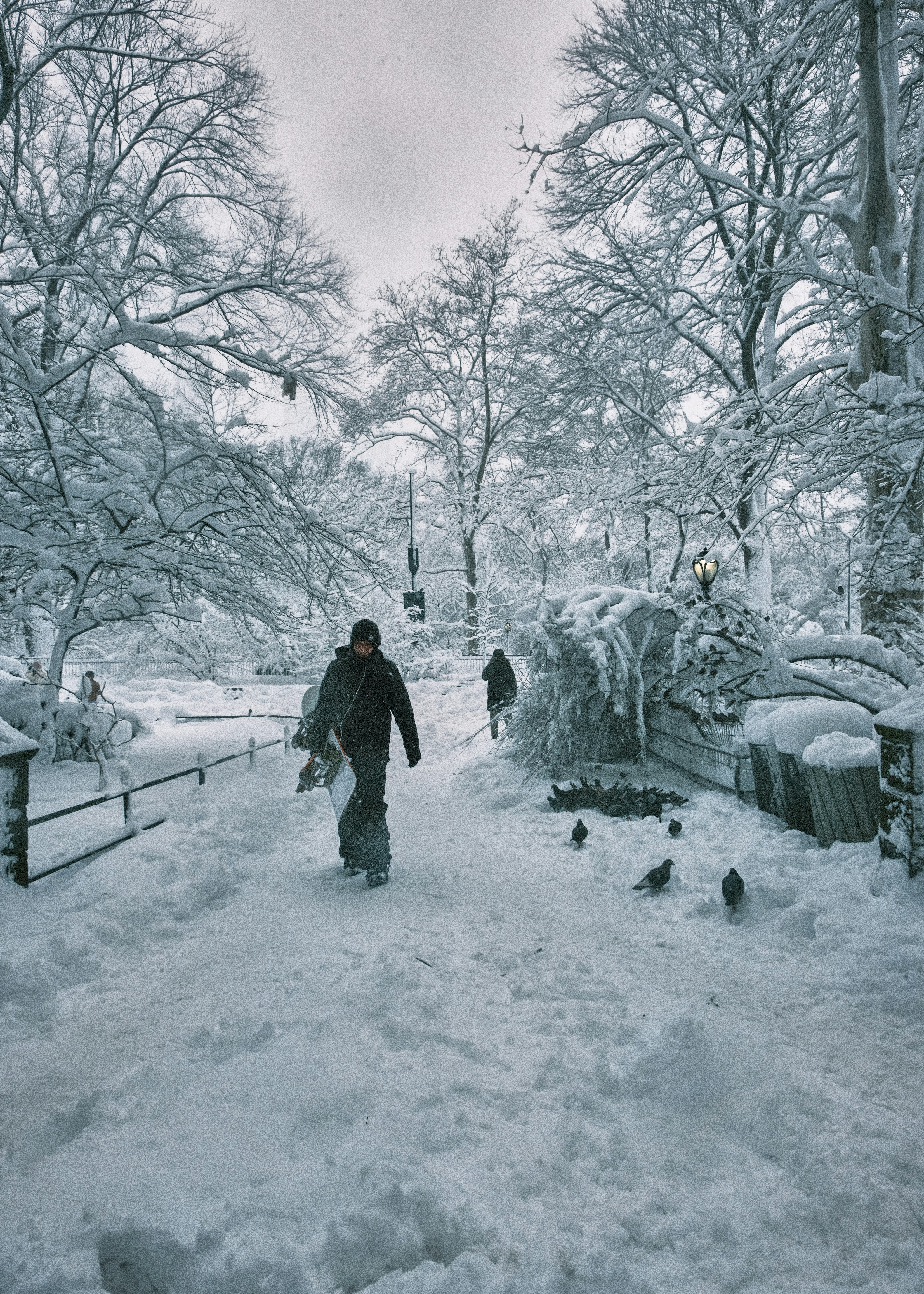 Winter Walk in a Snowbound Park