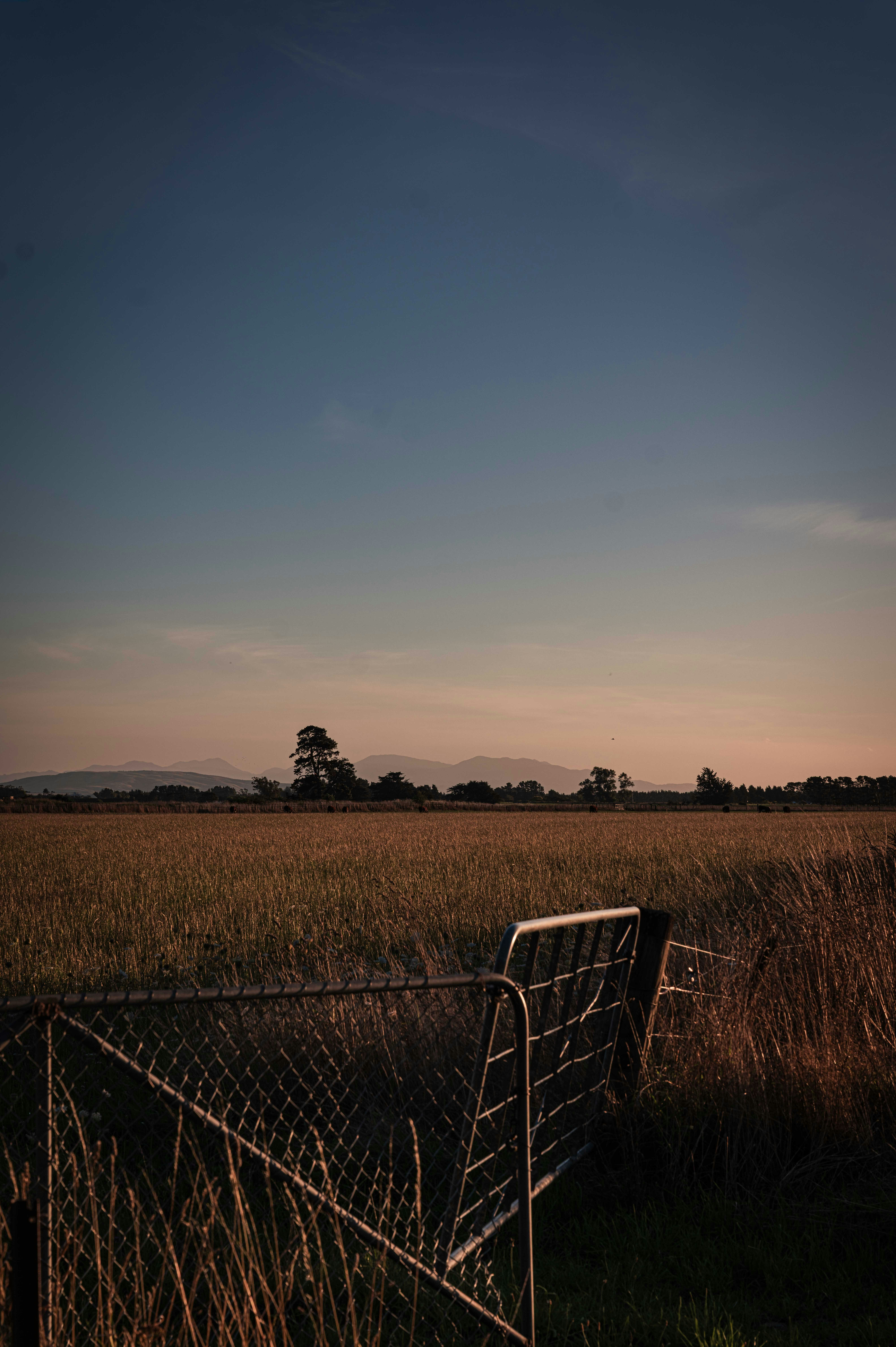 Sunlit Fence and Open Field under Vast Evening Sky