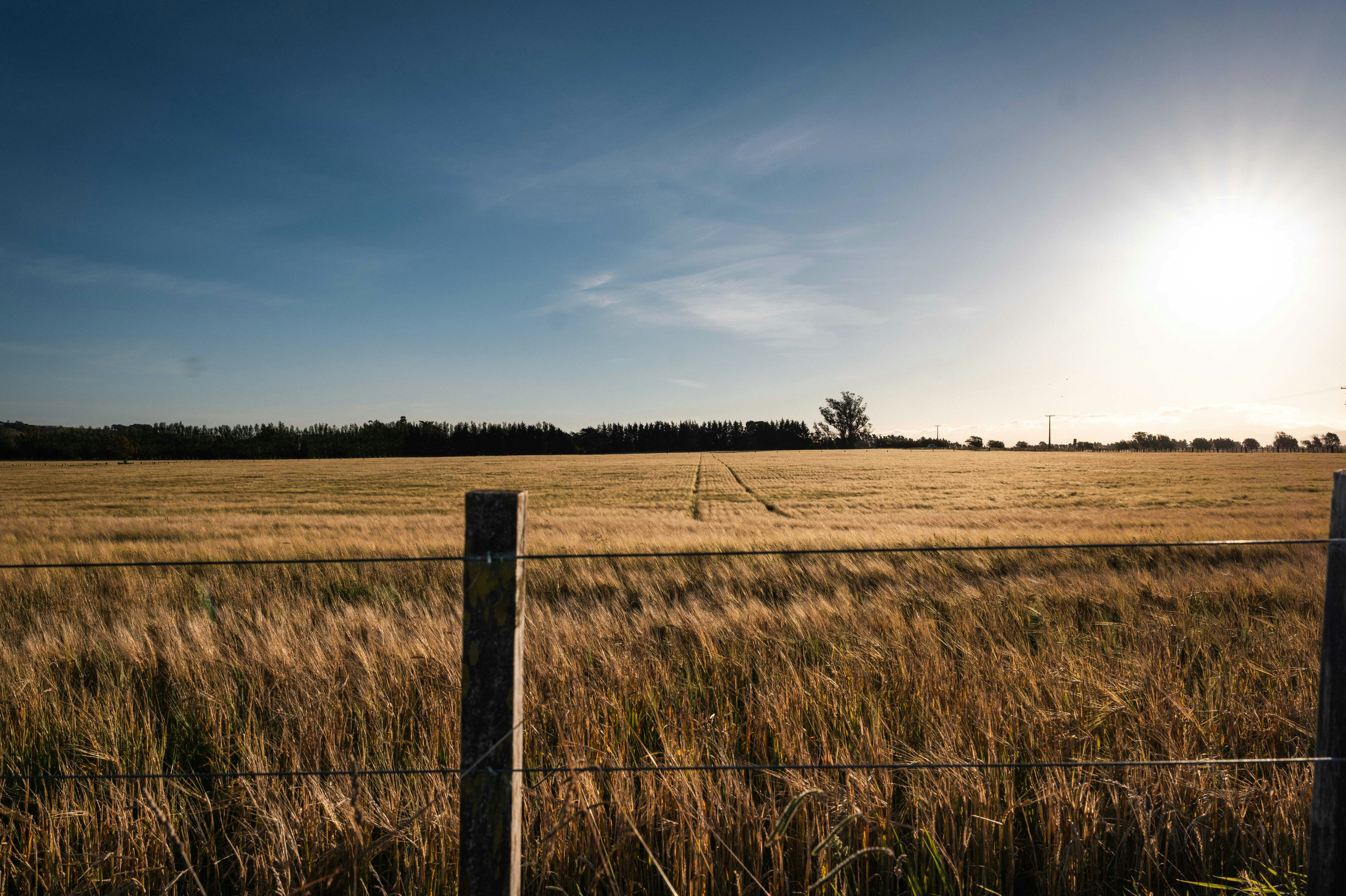 Sunlit Prairie Fence: A Quiet Field Beneath Expansive Skies