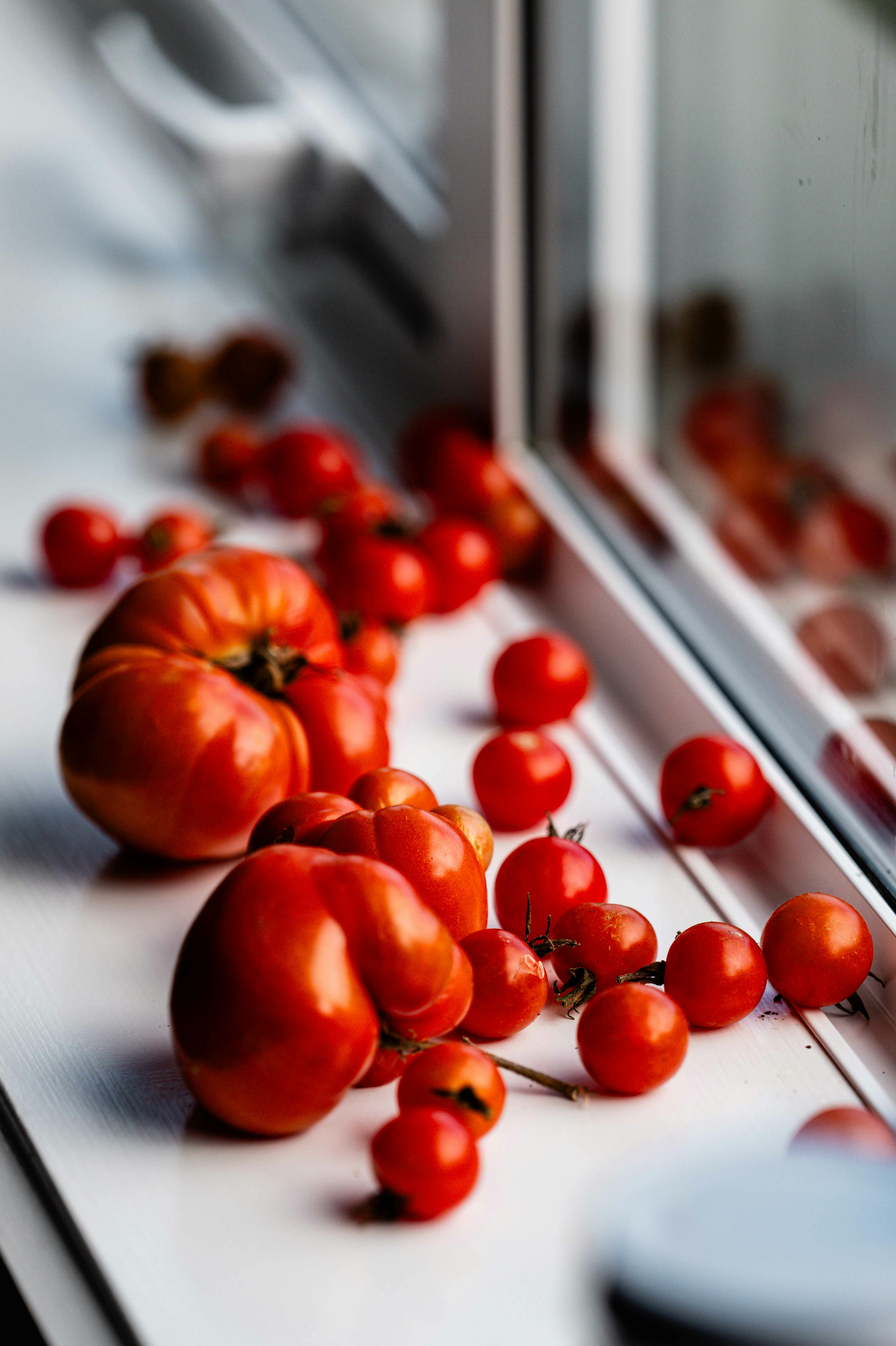 Red Bounty on a Windowsill: Tomatoes and Cherry Orbs