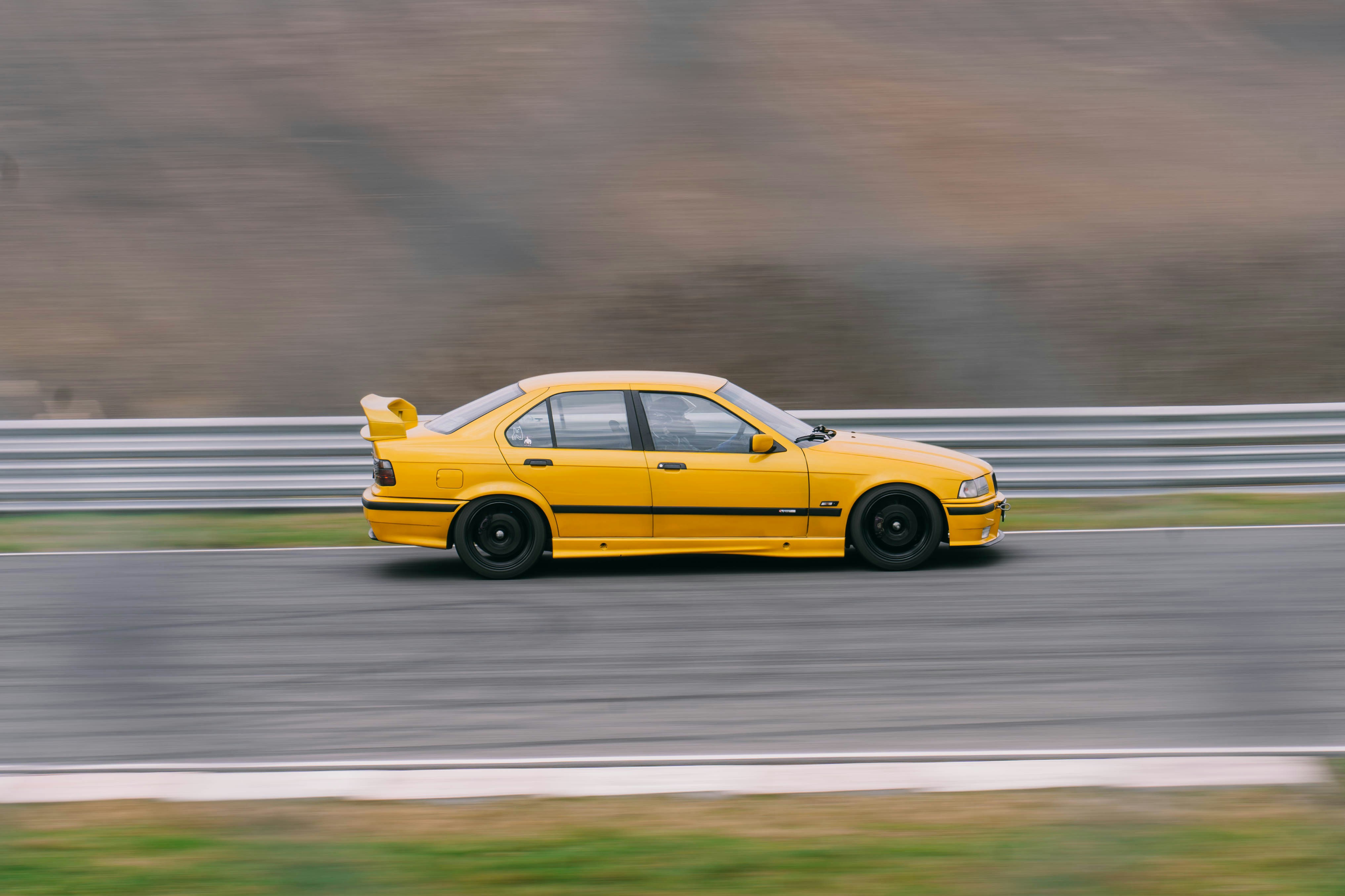 Yellow Racer in a Blue-Grey Stream