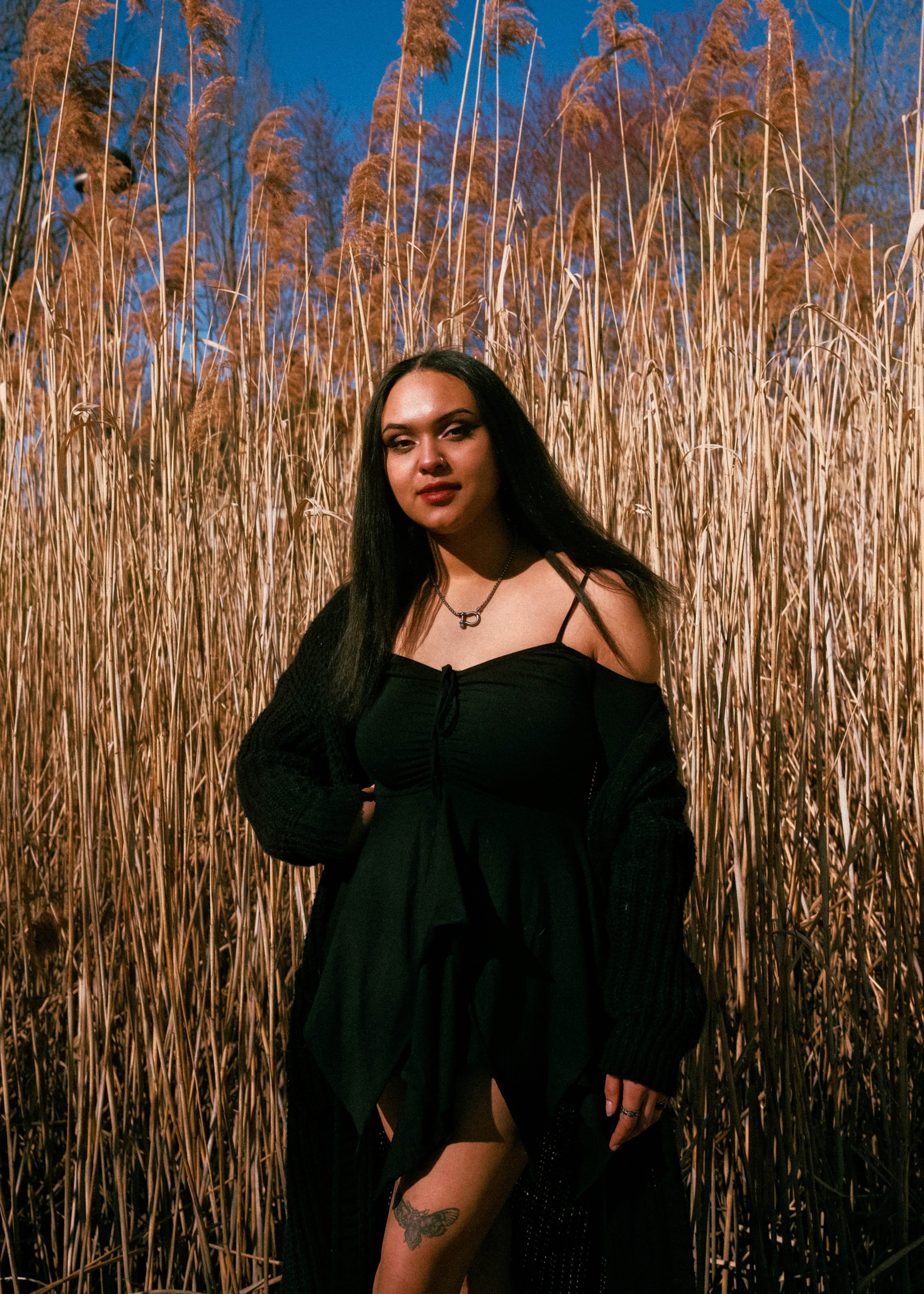Emergence in Reeds: Portrait Amid Golden Stalks