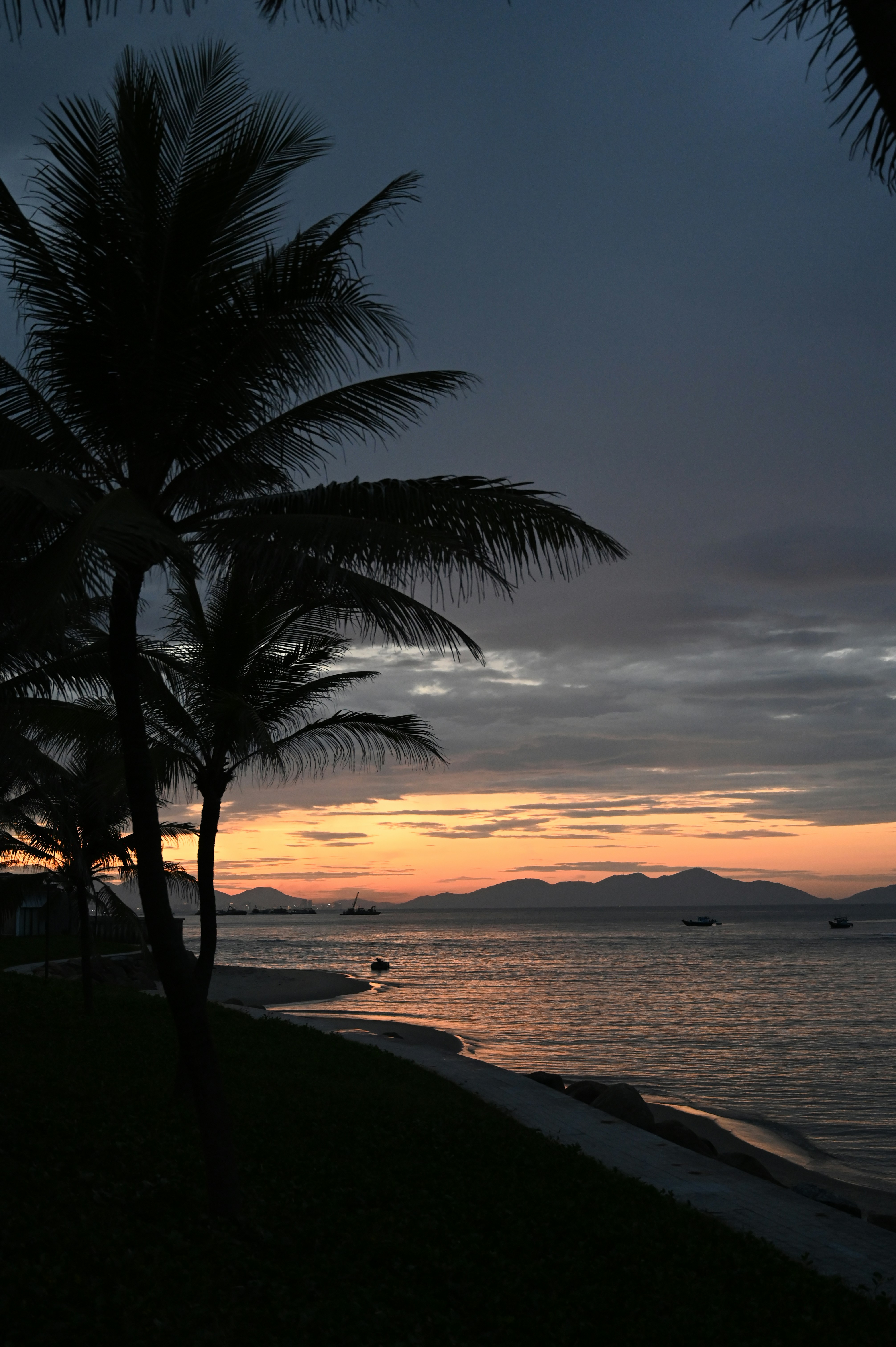 Palm silhouettes and sunset over quiet bay