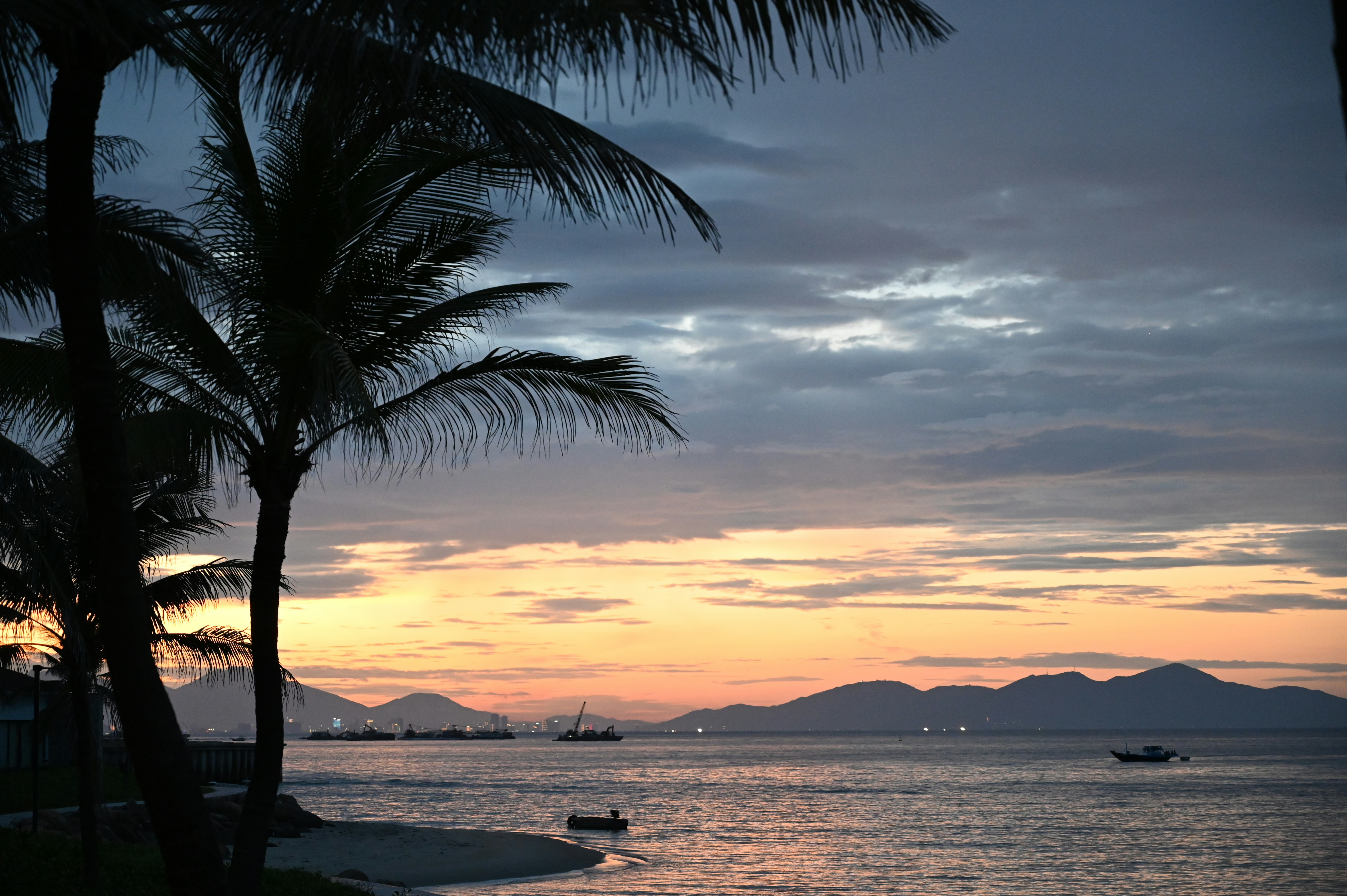 Sunset Silhouette Over Quiet Bay with Palm Fronds